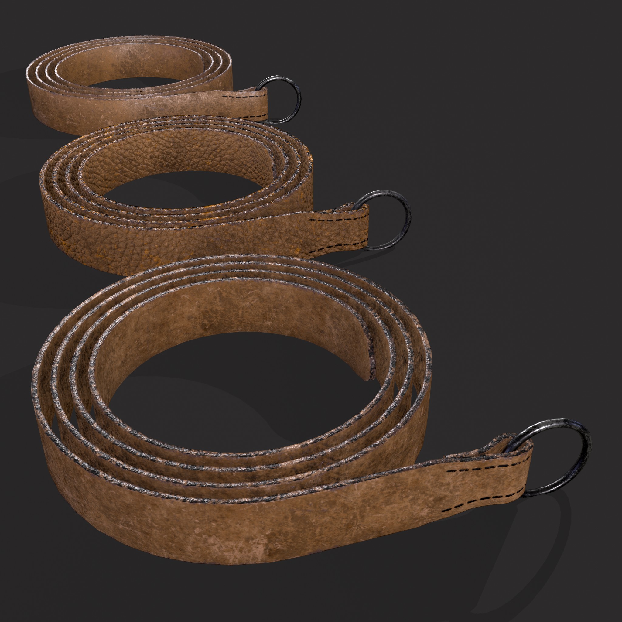 Iron Ring Belts - 3D Model by Get Dead Entertainment
