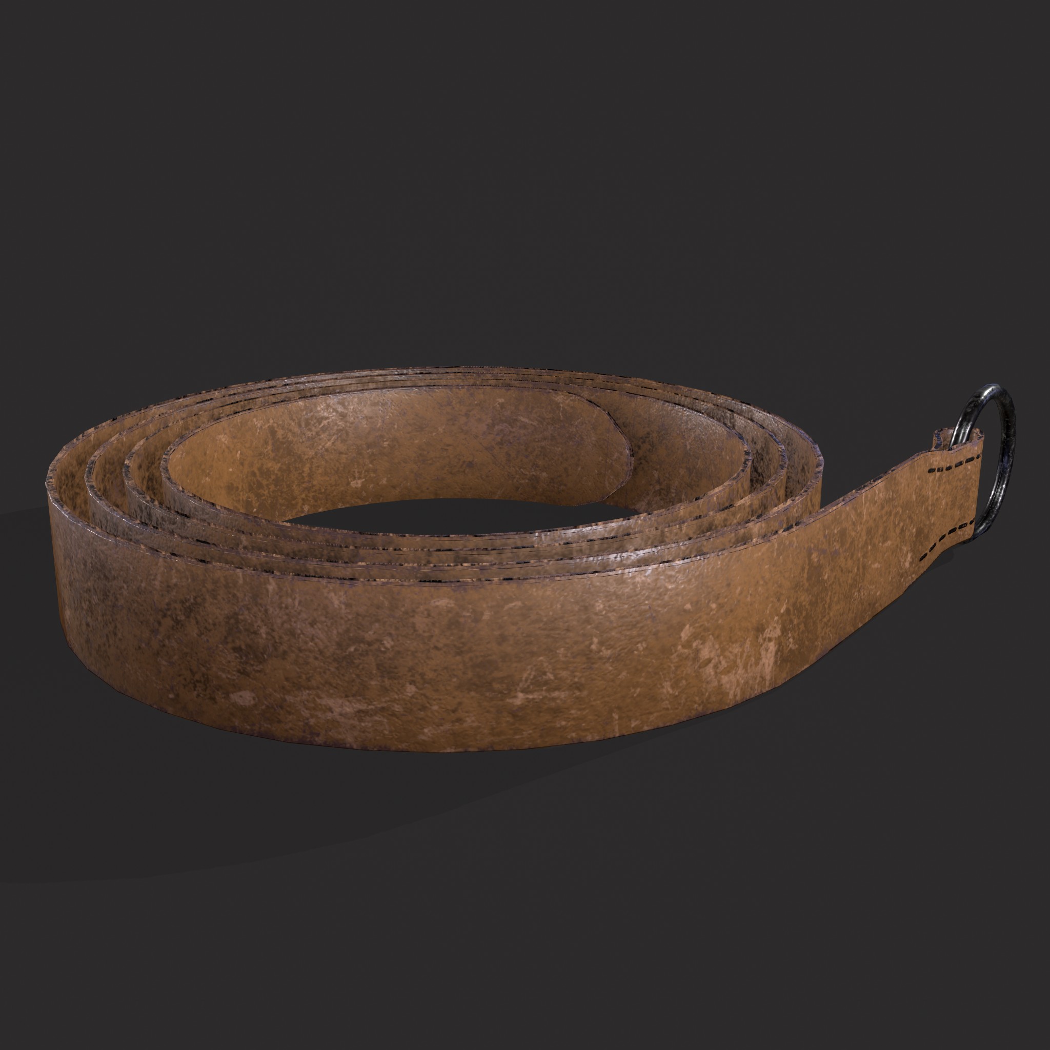 Iron Ring Belts - 3D Model by Get Dead Entertainment