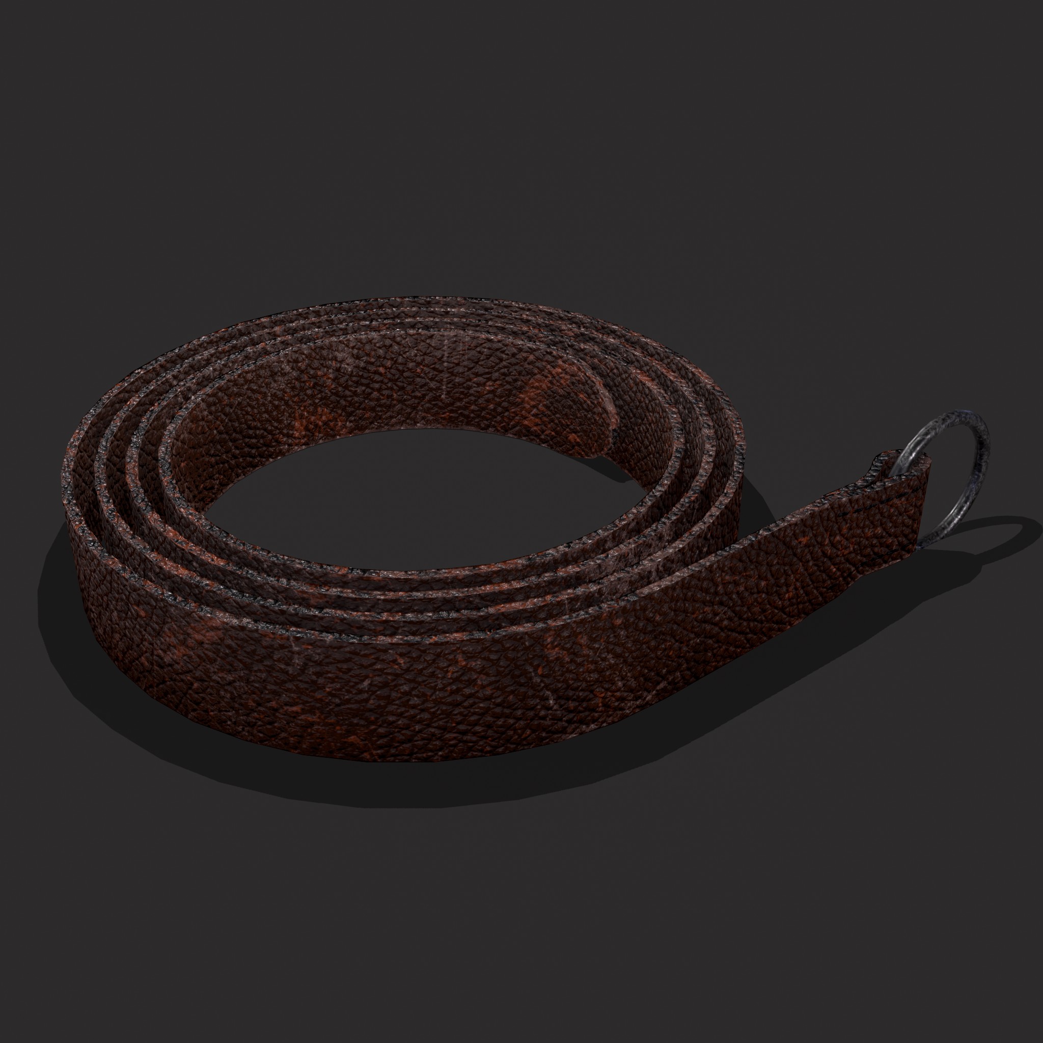 Iron Ring Belts - 3D Model by Get Dead Entertainment