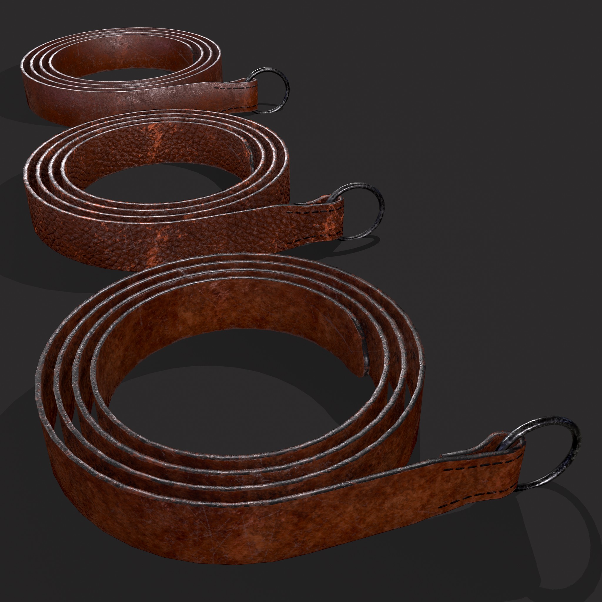 Iron Ring Belts - 3D Model by Get Dead Entertainment