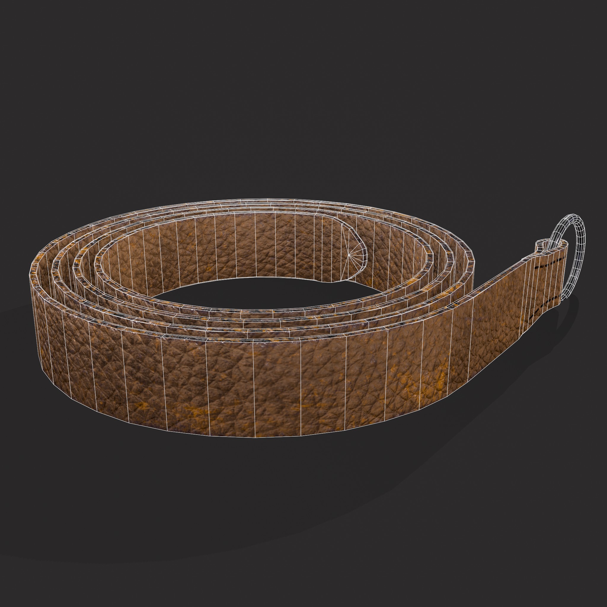 Iron Ring Belts - 3D Model by Get Dead Entertainment