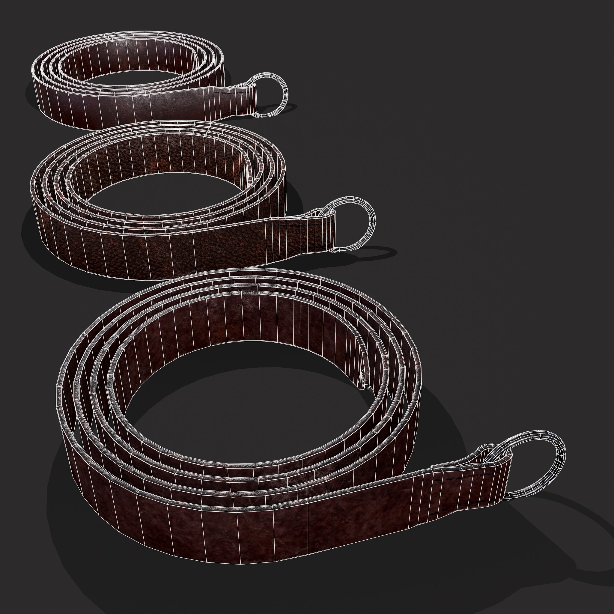 Iron Ring Belts - 3D Model by Get Dead Entertainment