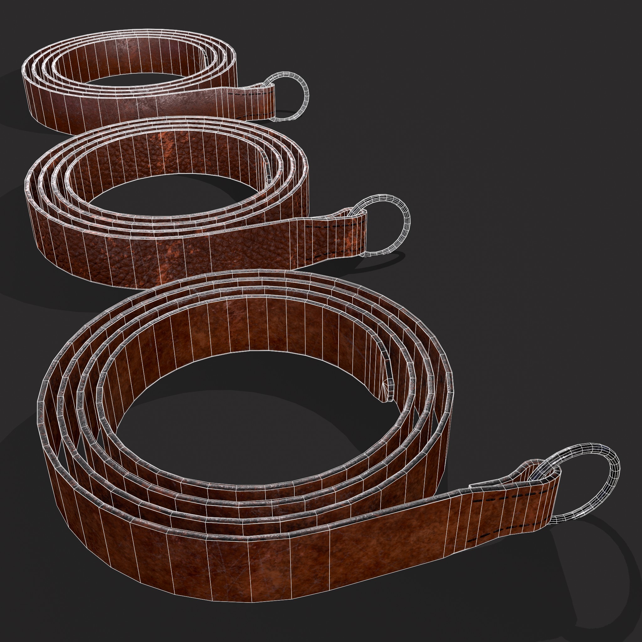 Iron Ring Belts - 3D Model by Get Dead Entertainment