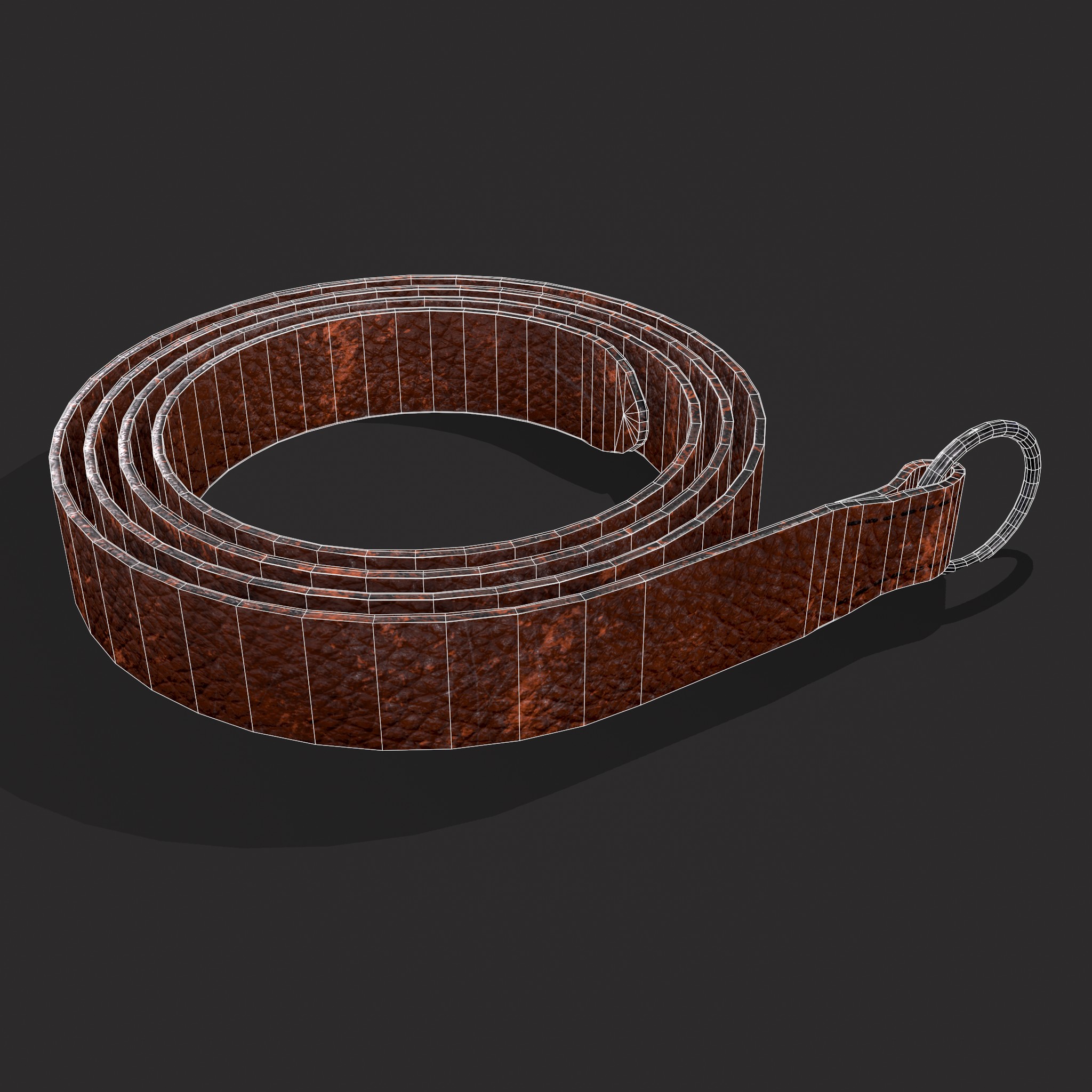 Iron Ring Belts - 3D Model by Get Dead Entertainment