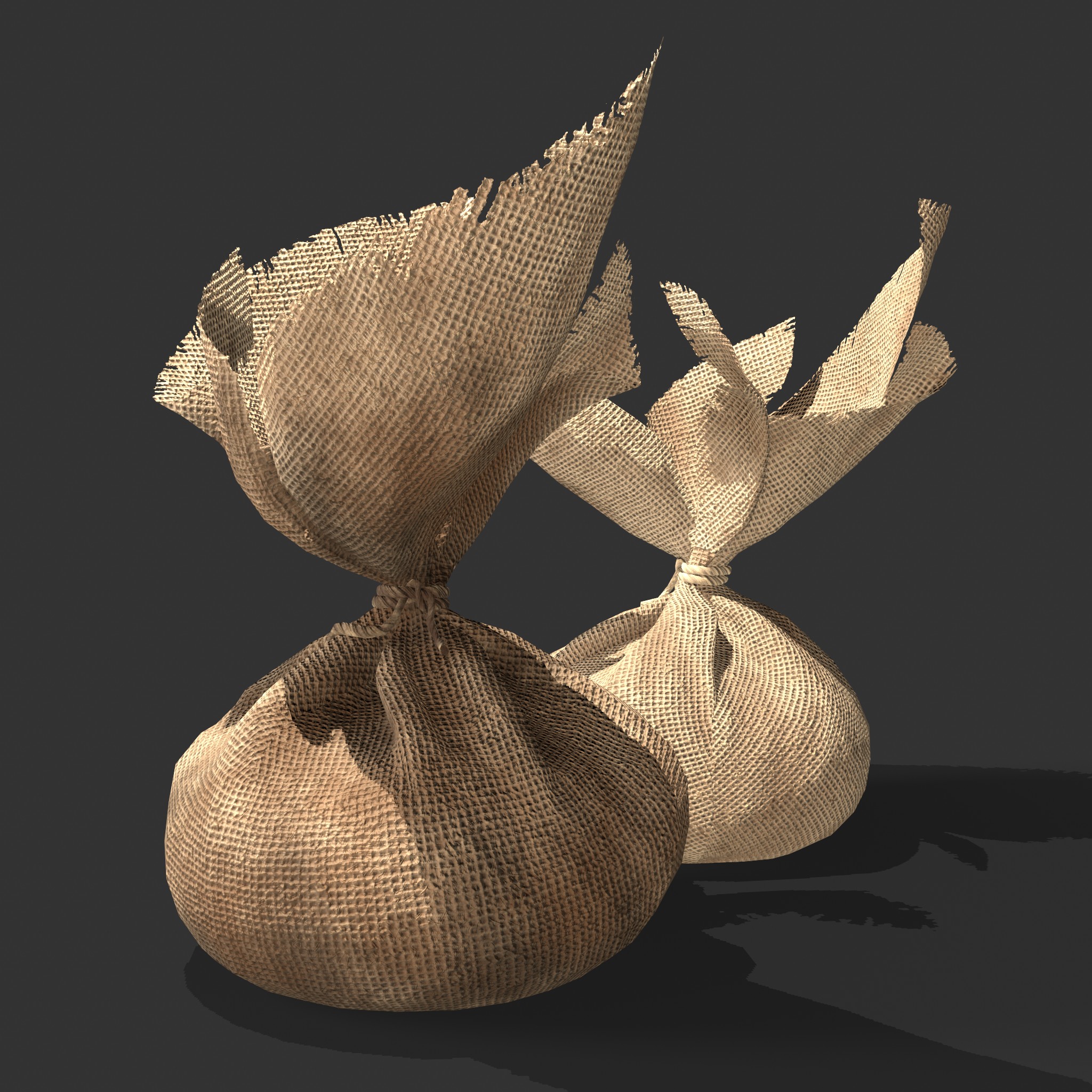 Medieval Cheese Sacks - 3D Model by Get Dead Entertainment