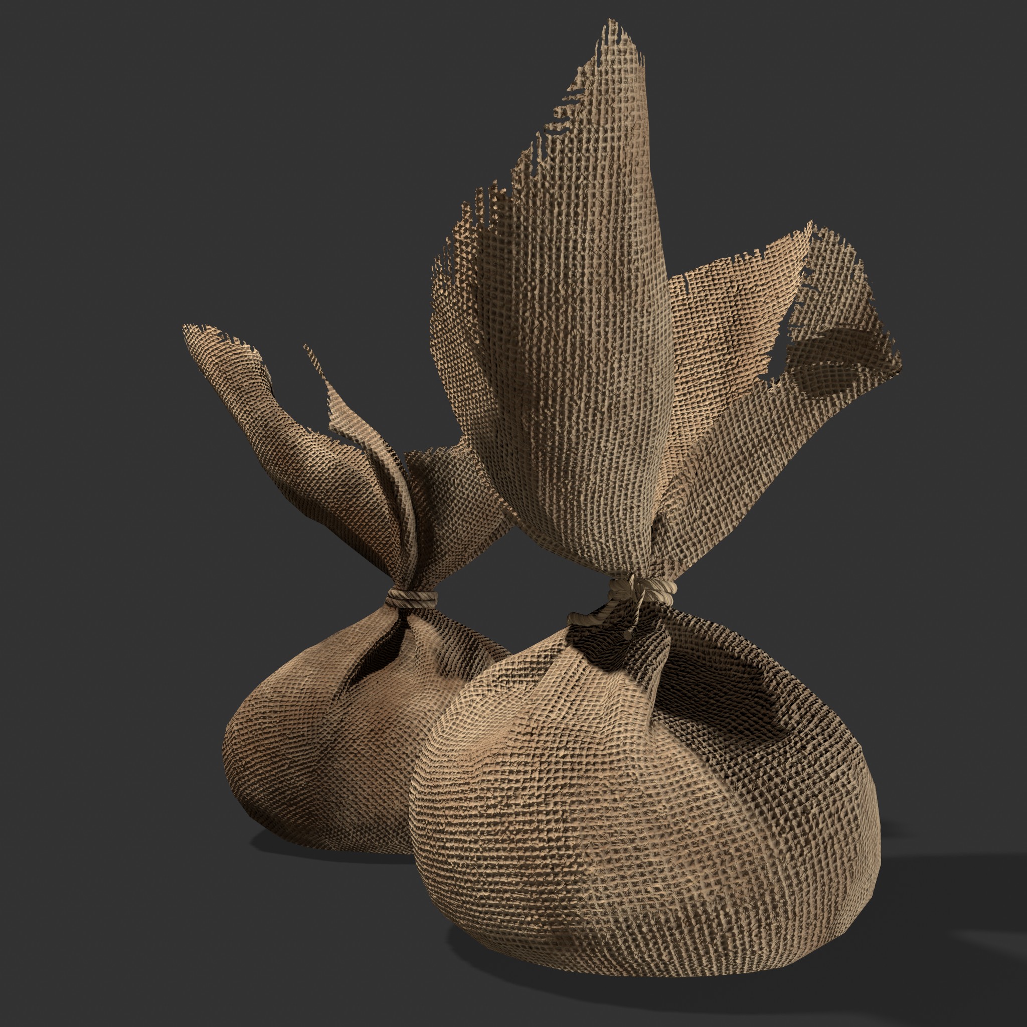 Medieval Cheese Sacks - 3D Model by Get Dead Entertainment