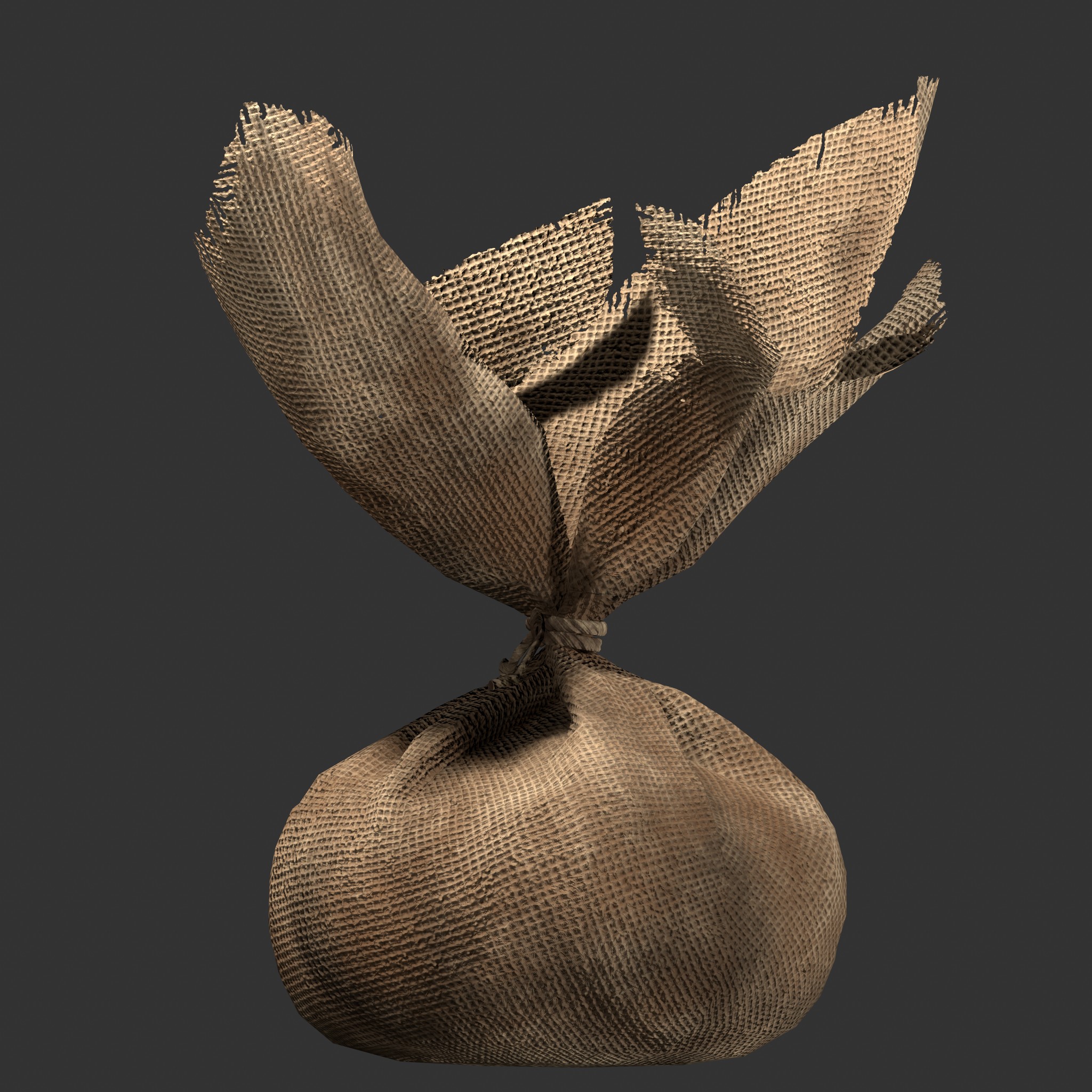 Medieval Cheese Sacks - 3D Model by Get Dead Entertainment
