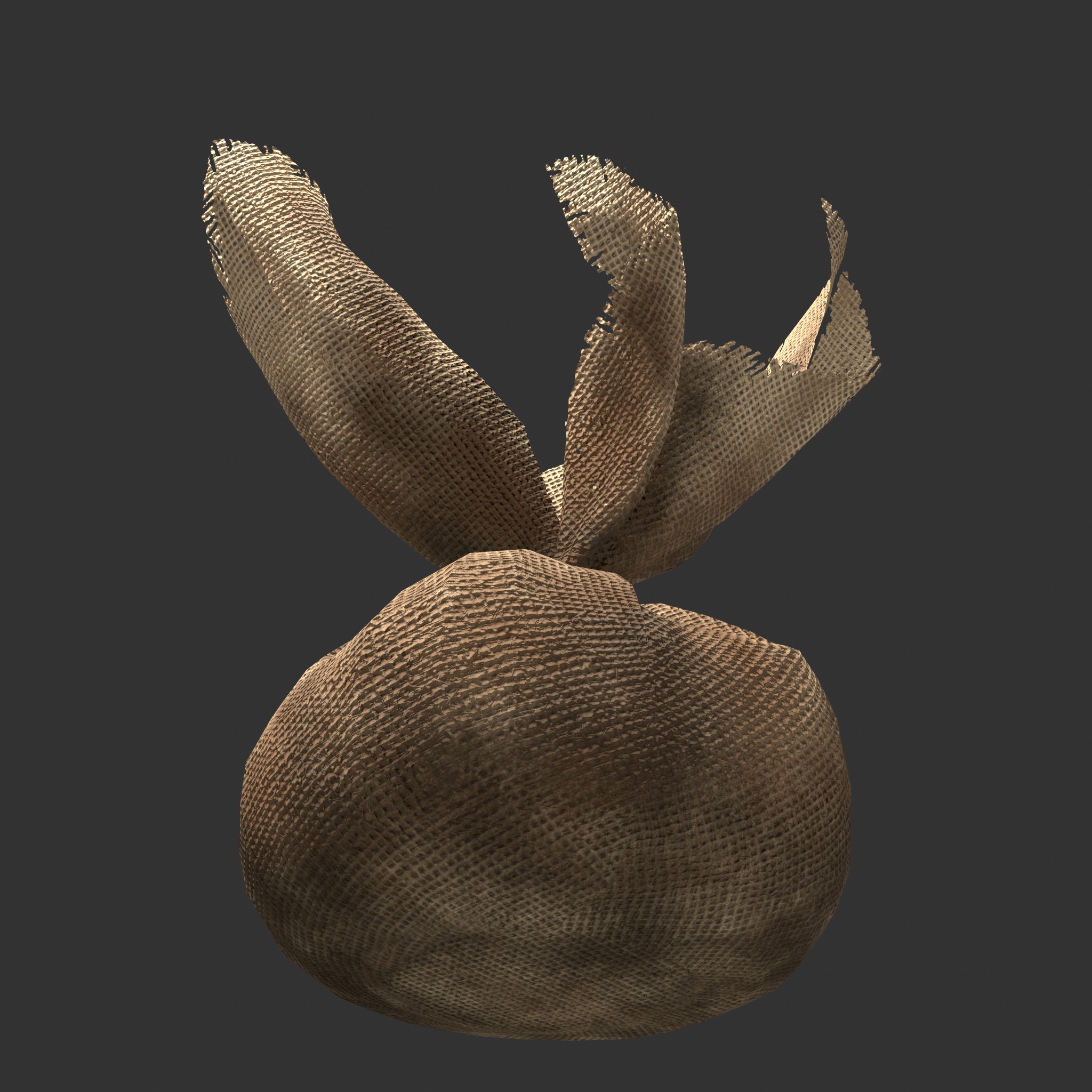 Medieval Cheese Sacks - 3D Model by Get Dead Entertainment