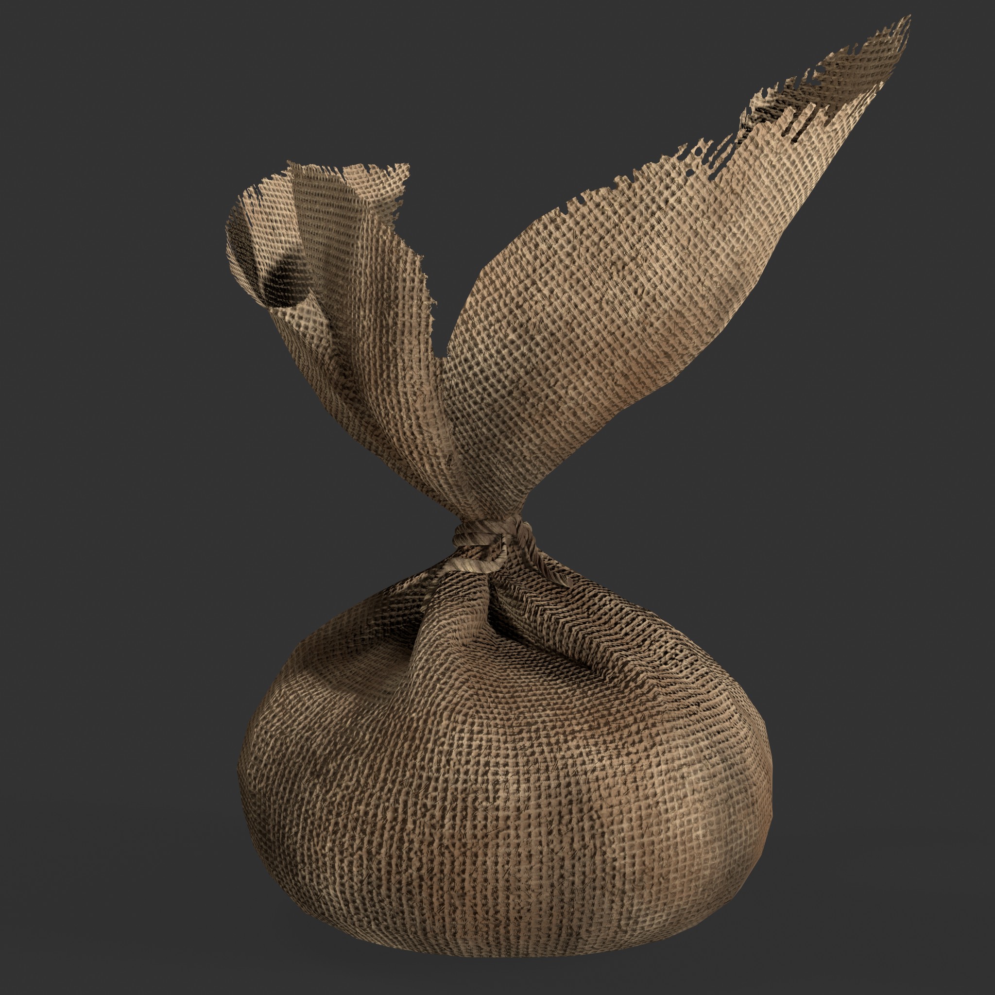 Medieval Cheese Sacks - 3D Model by Get Dead Entertainment