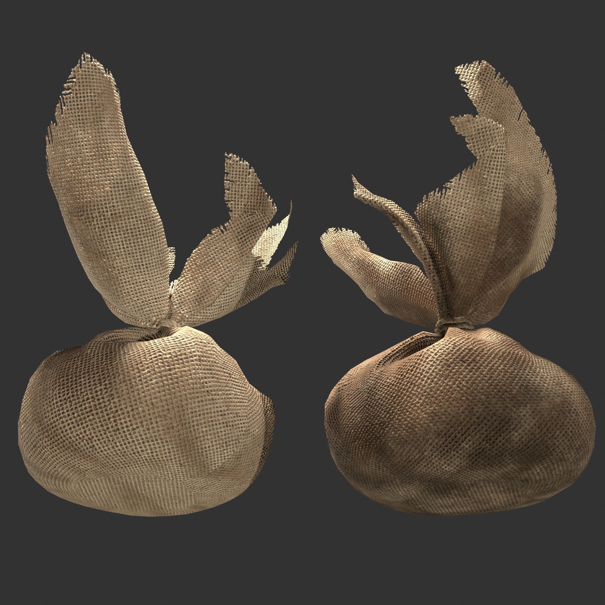 Medieval Cheese Sacks - 3D Model by Get Dead Entertainment