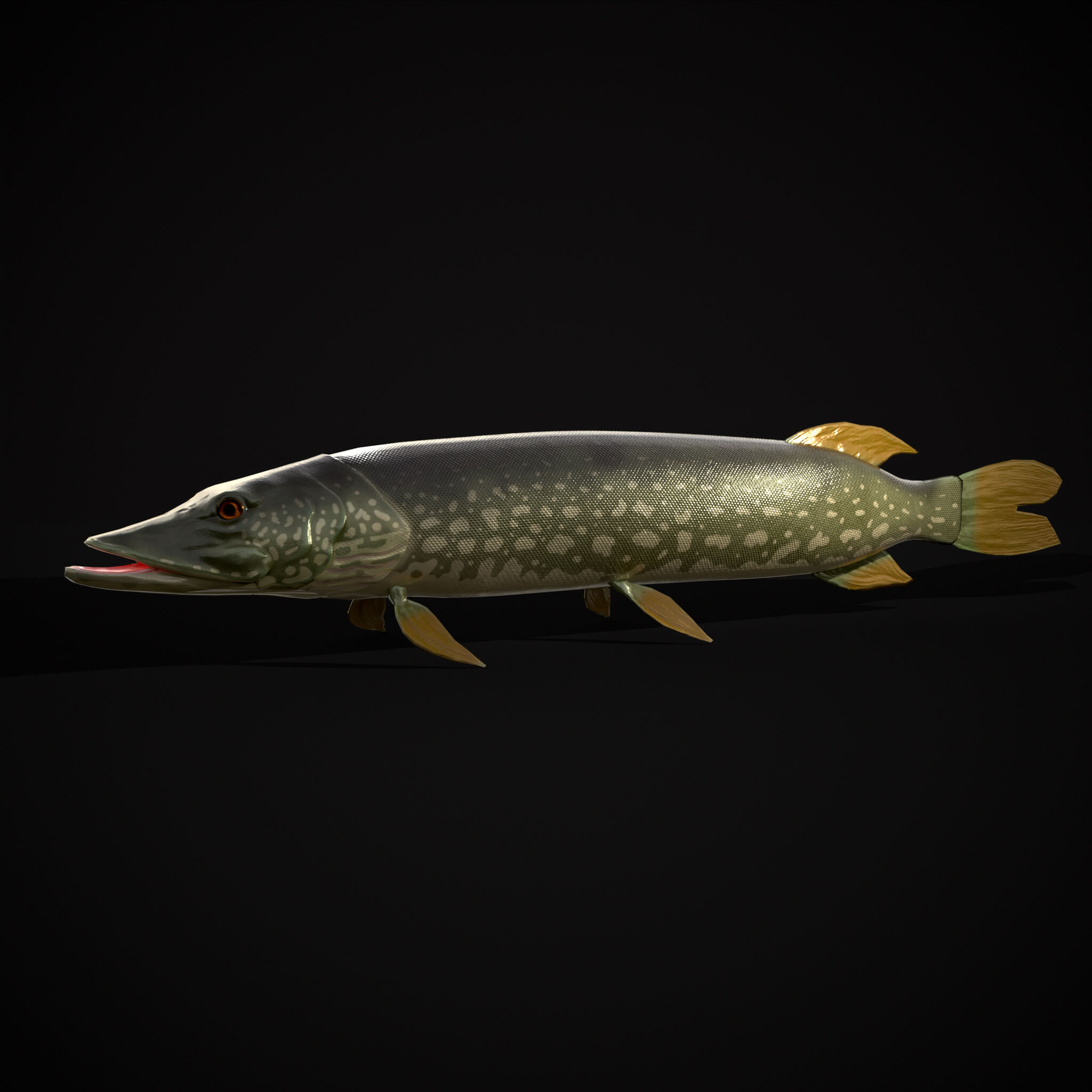 Northern Spotted Pike - 3D Model by Get Dead Entertainment