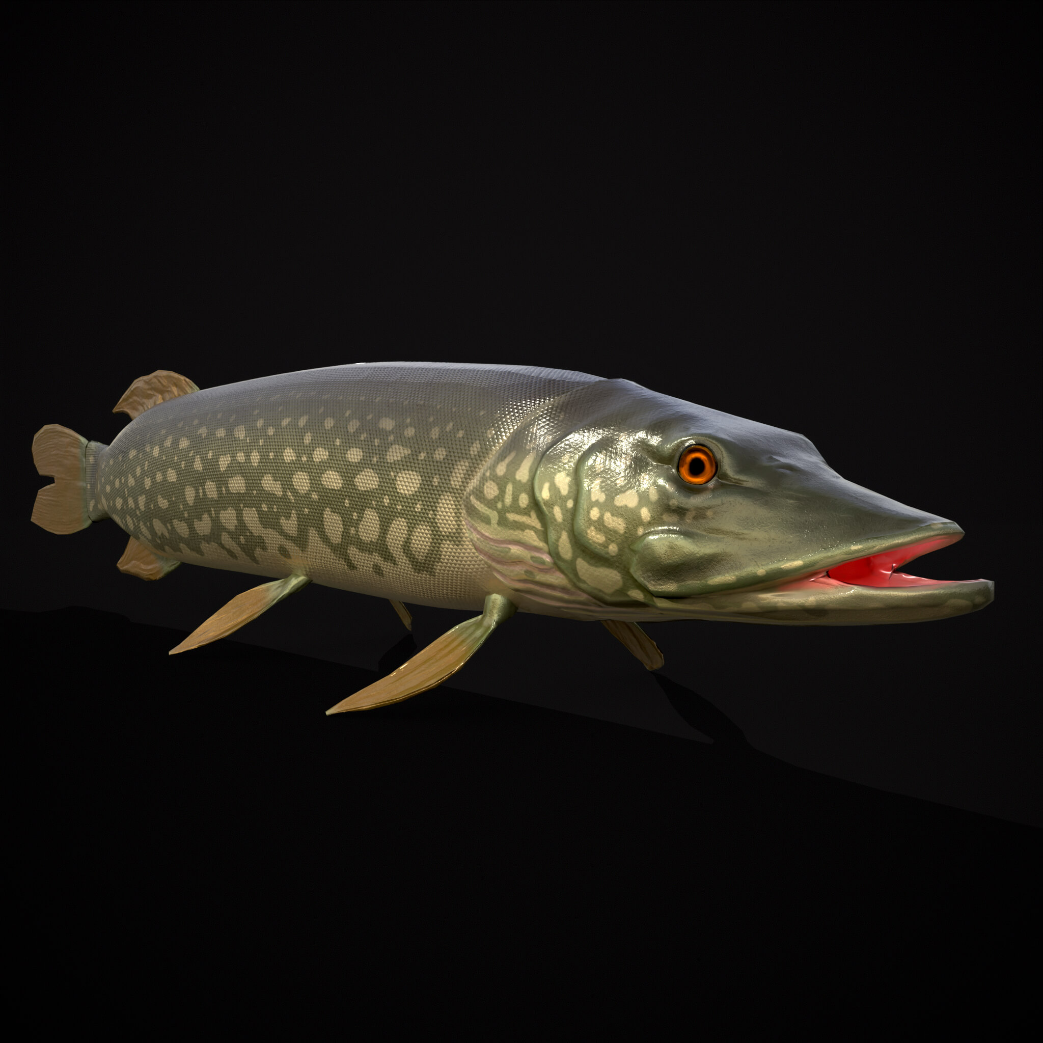 Northern Spotted Pike - 3D Model by Get Dead Entertainment