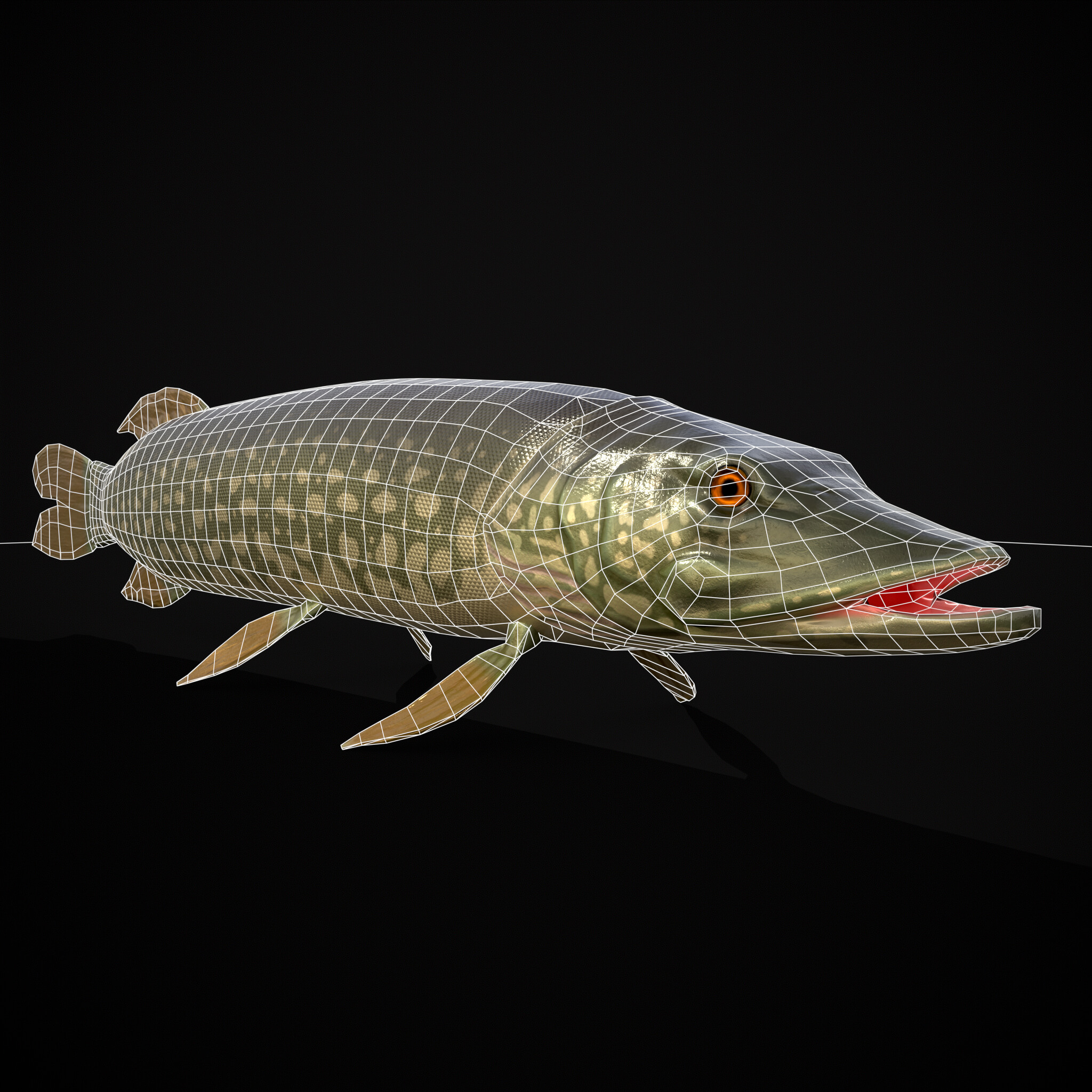 Northern Spotted Pike - 3D Model by Get Dead Entertainment