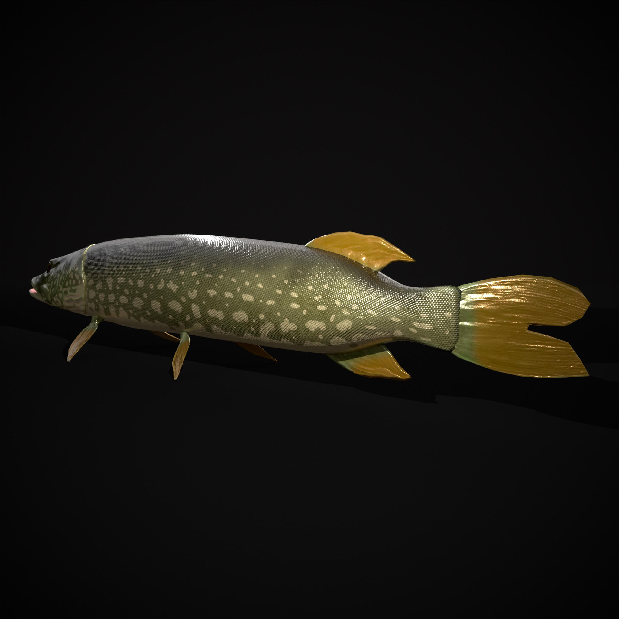 Northern Spotted Pike - 3D Model by Get Dead Entertainment