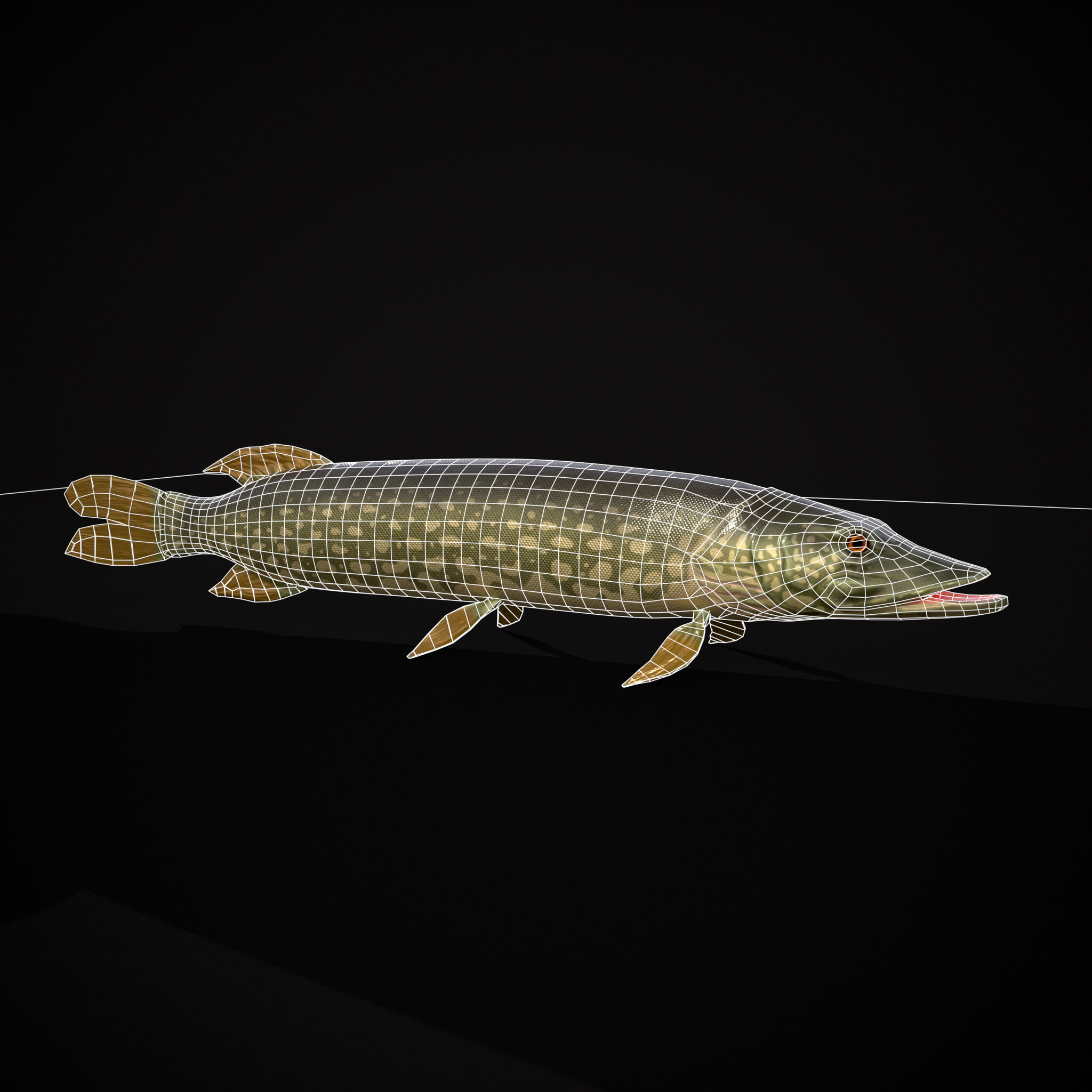 Northern Spotted Pike - 3D Model by Get Dead Entertainment