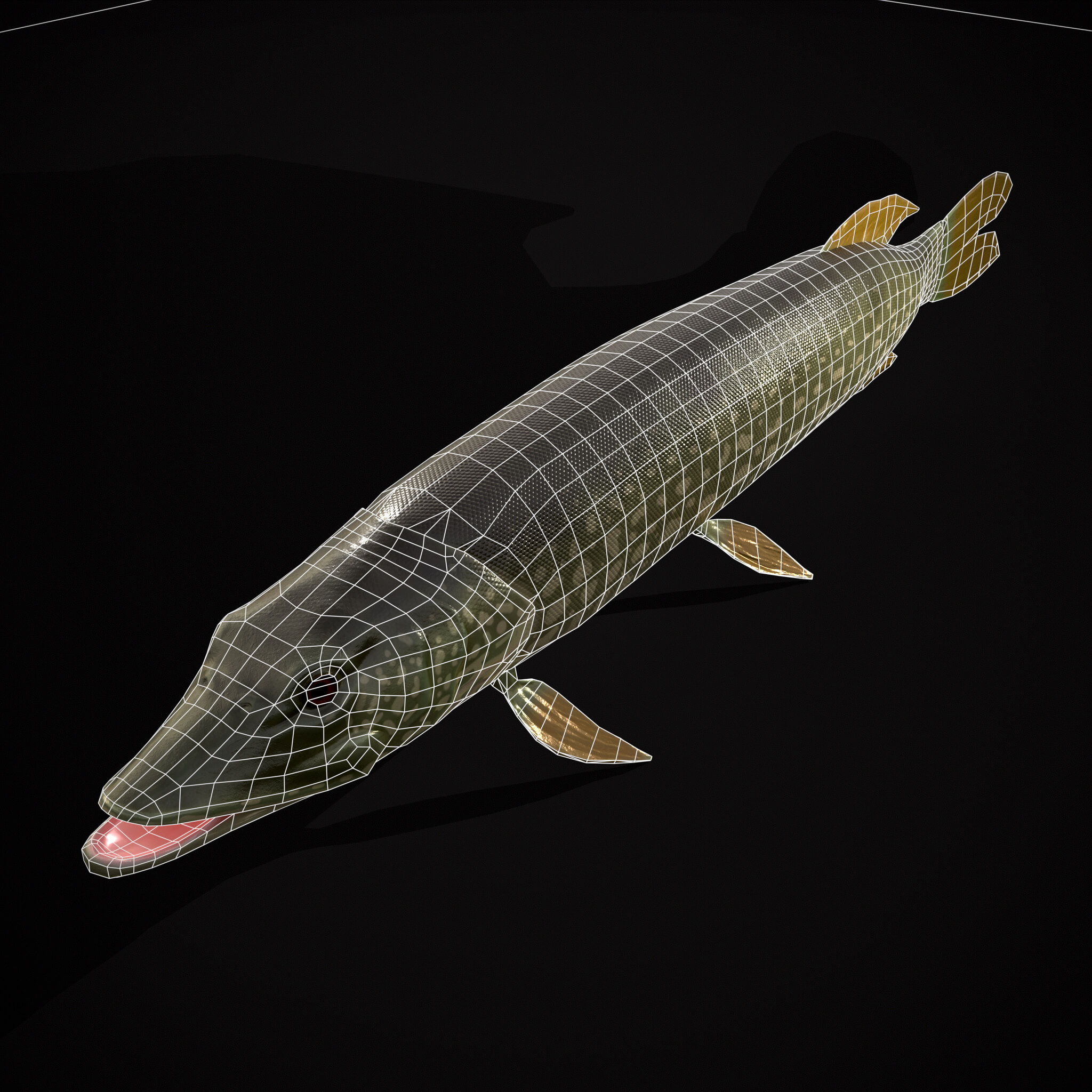 Northern Spotted Pike - 3D Model by Get Dead Entertainment