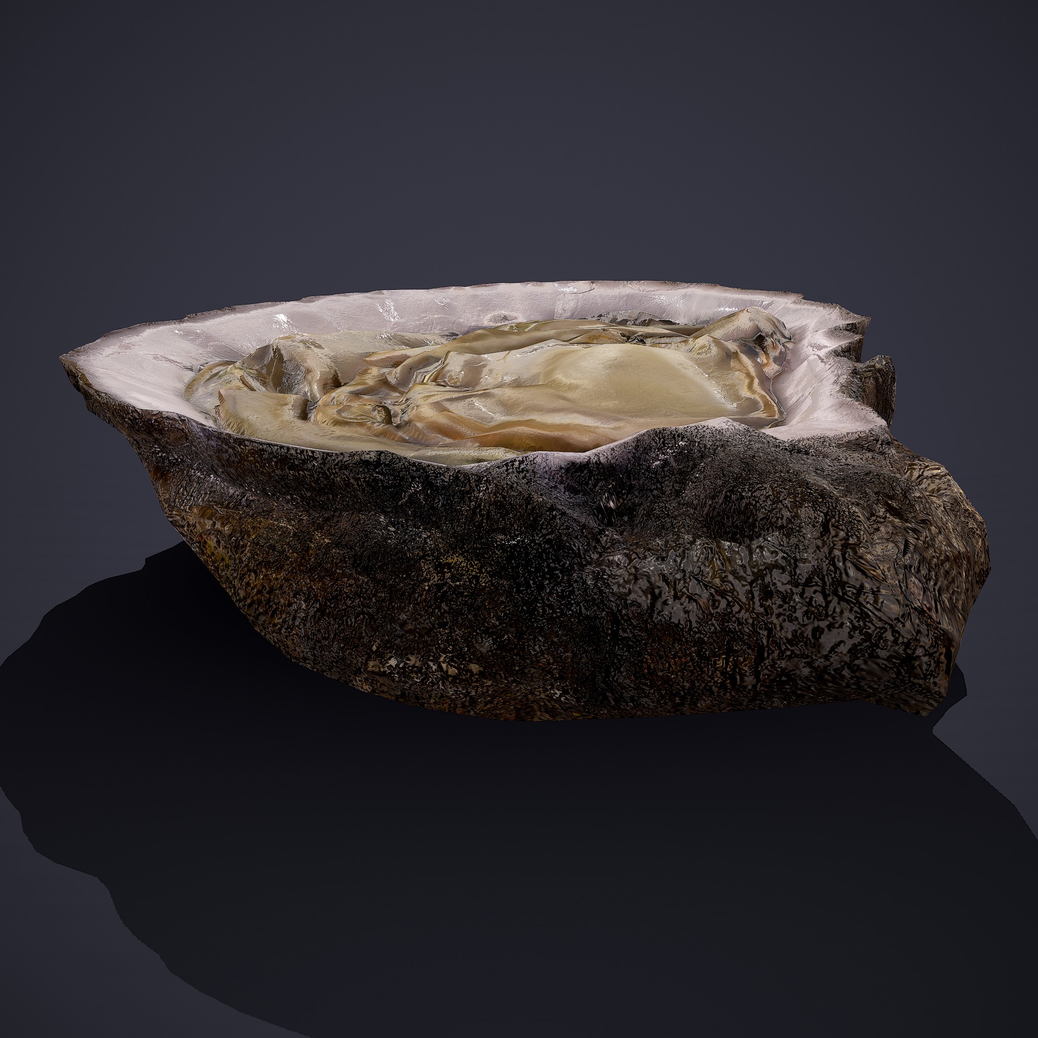 Oyster Model by Get Dead Entertainment