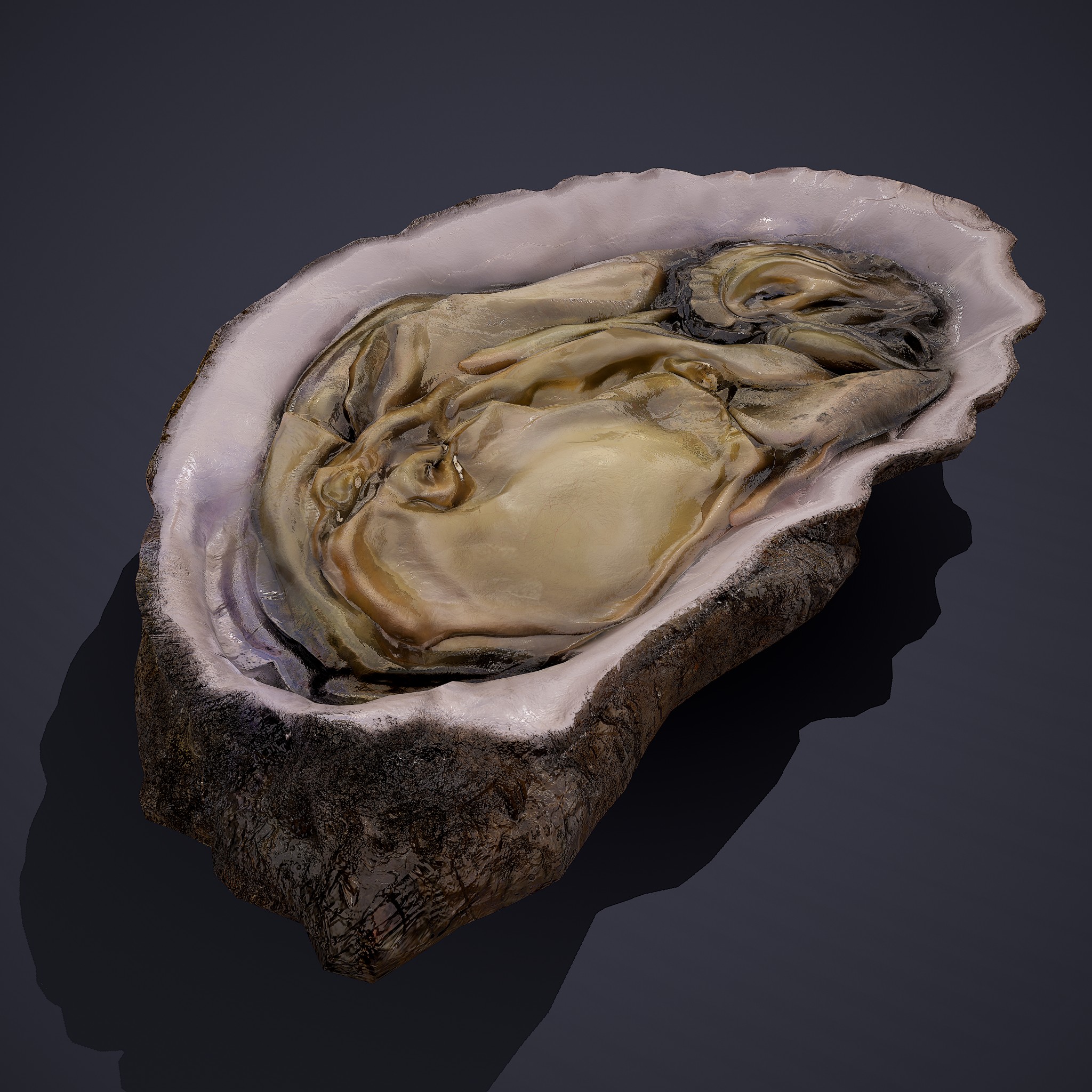 Oyster Model by Get Dead Entertainment
