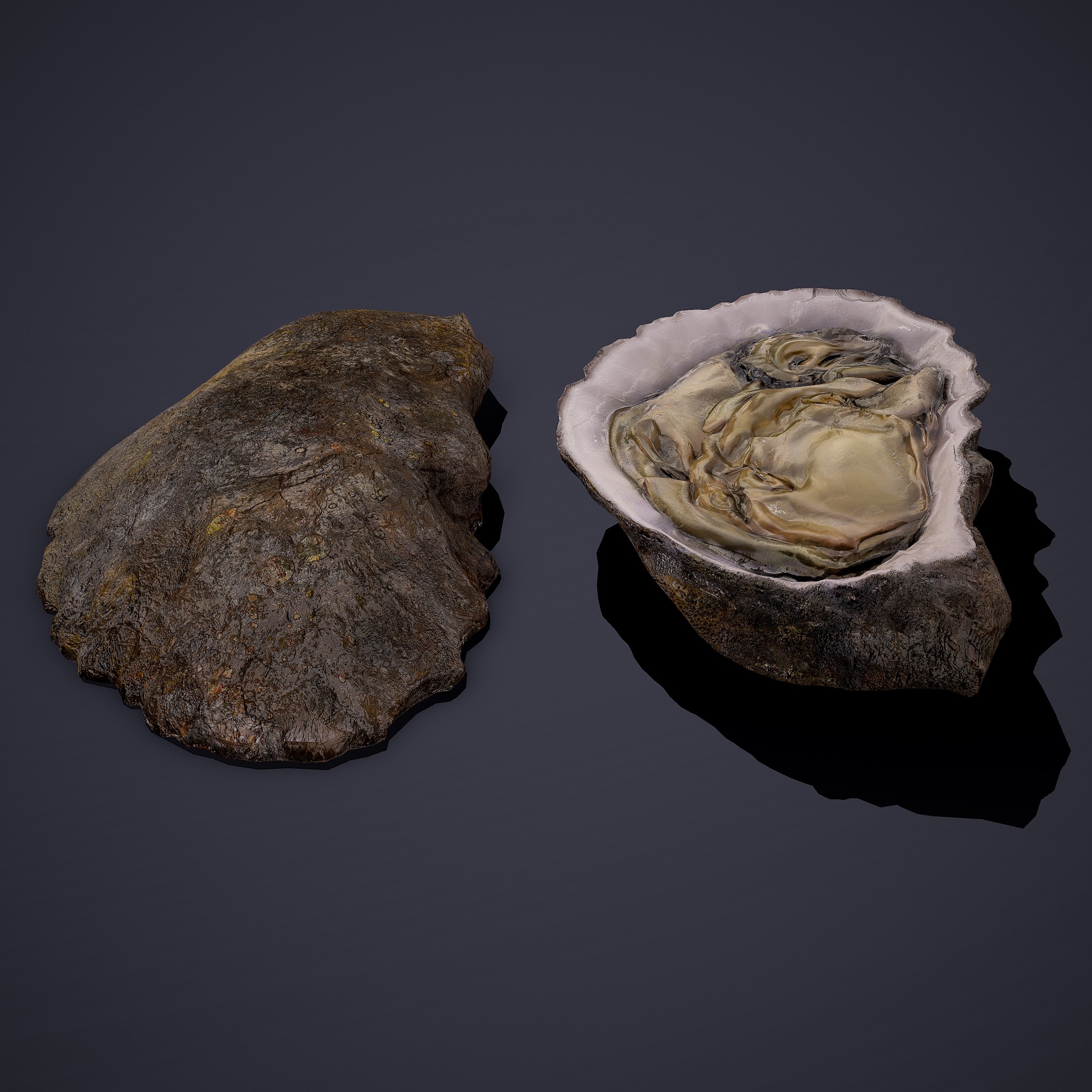 Oyster Model by Get Dead Entertainment