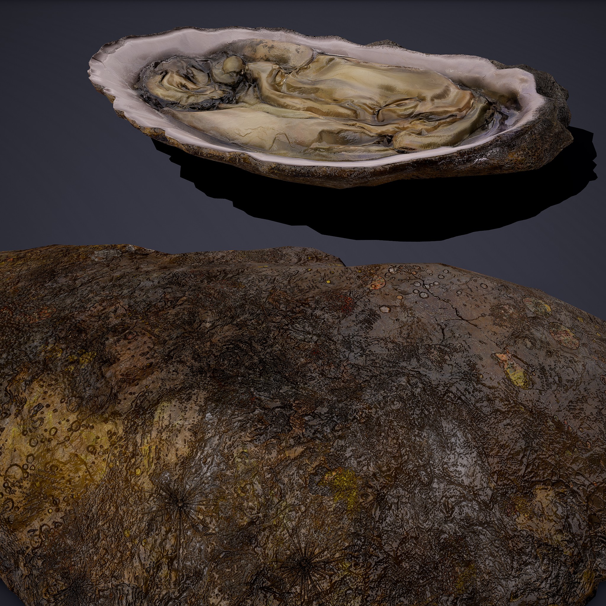 Oyster Model by Get Dead Entertainment