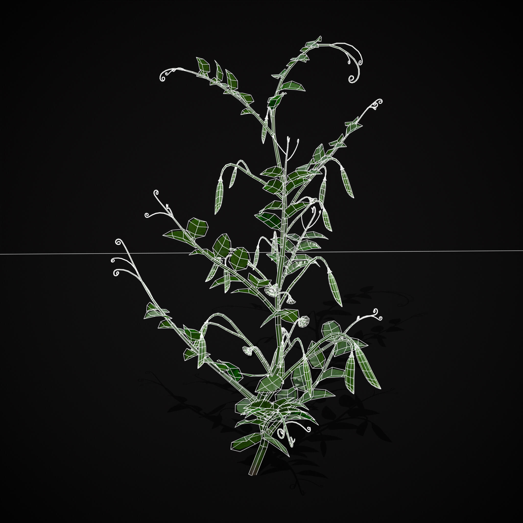 Peas Plant Crop - 3D Model by Get Dead Entertainment