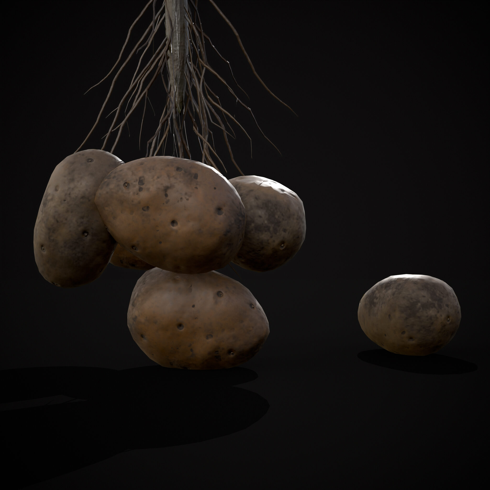 Potato Plant - 3D Model by Get Dead Entertainment