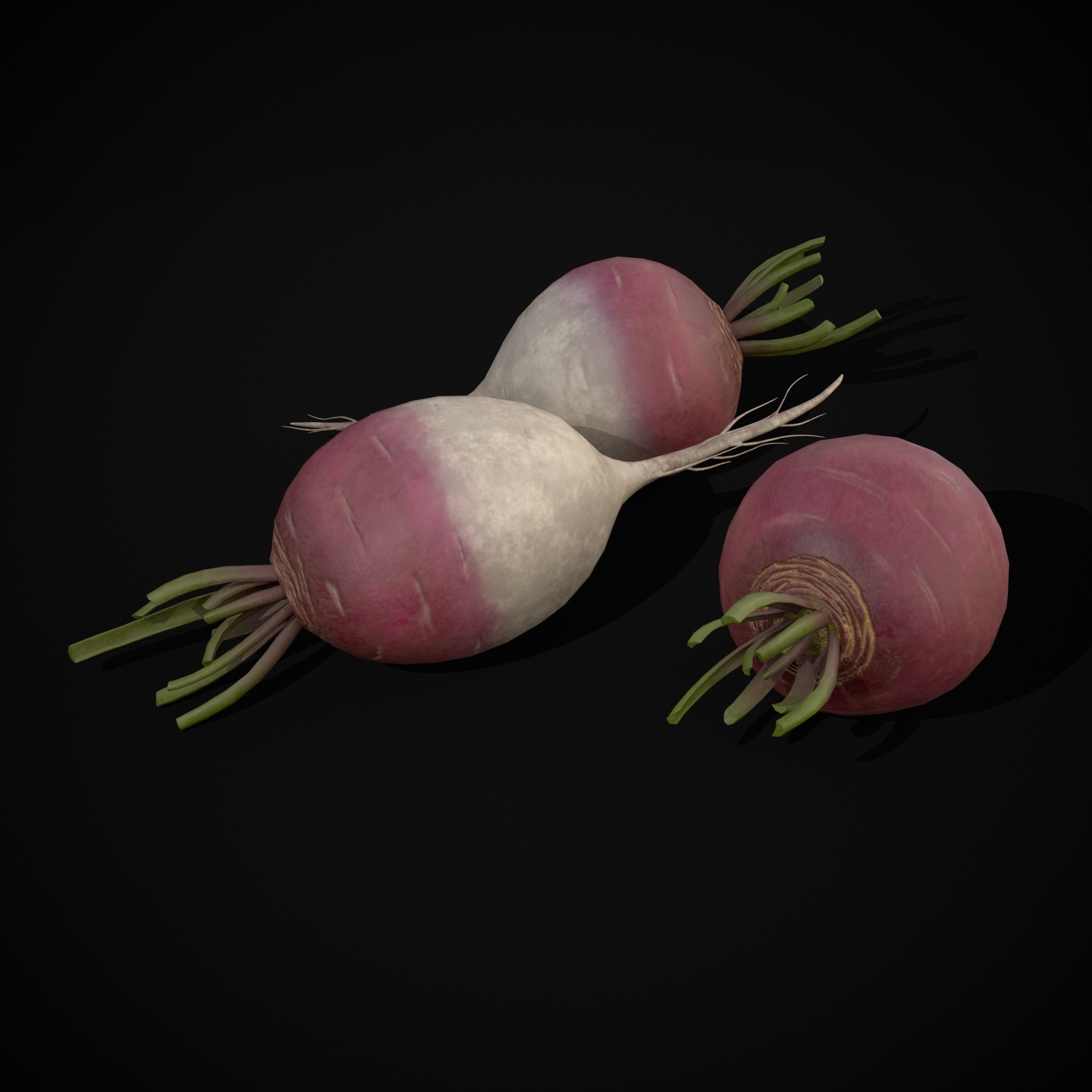 Purple Top White Globe Turnips - 3D Model by Get Dead Entertainment