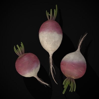 Purple Top White Globe Turnips - 3D Model by Get Dead Entertainment