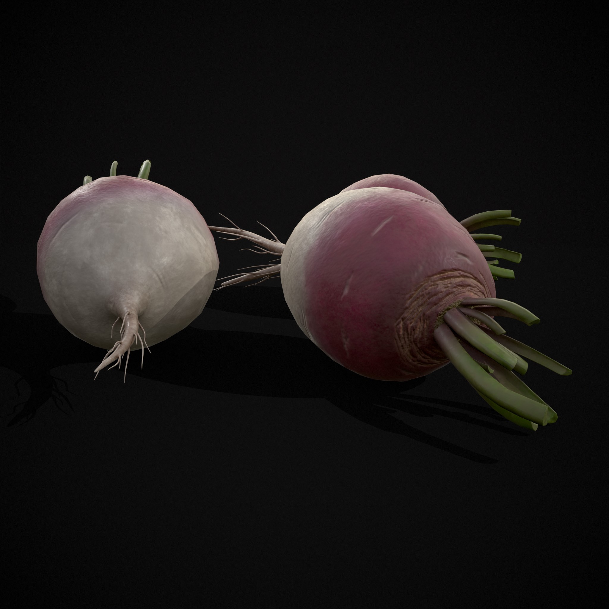Purple Top White Globe Turnips - 3D Model by Get Dead Entertainment