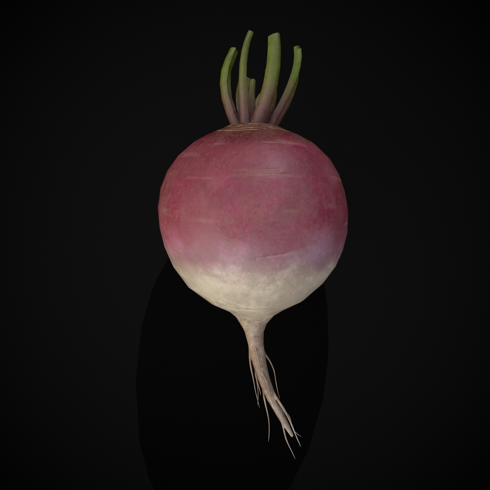 Purple Top White Globe Turnips - 3D Model by Get Dead Entertainment