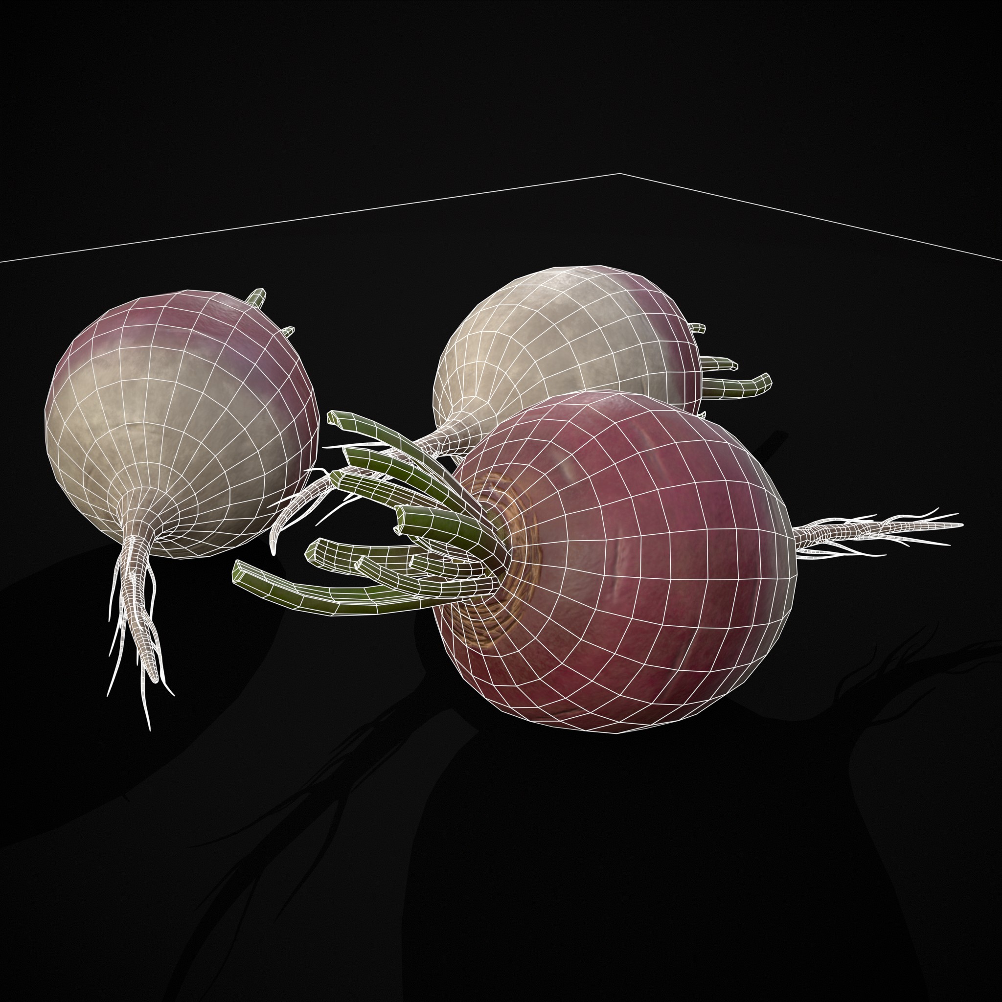 Purple Top White Globe Turnips - 3D Model by Get Dead Entertainment
