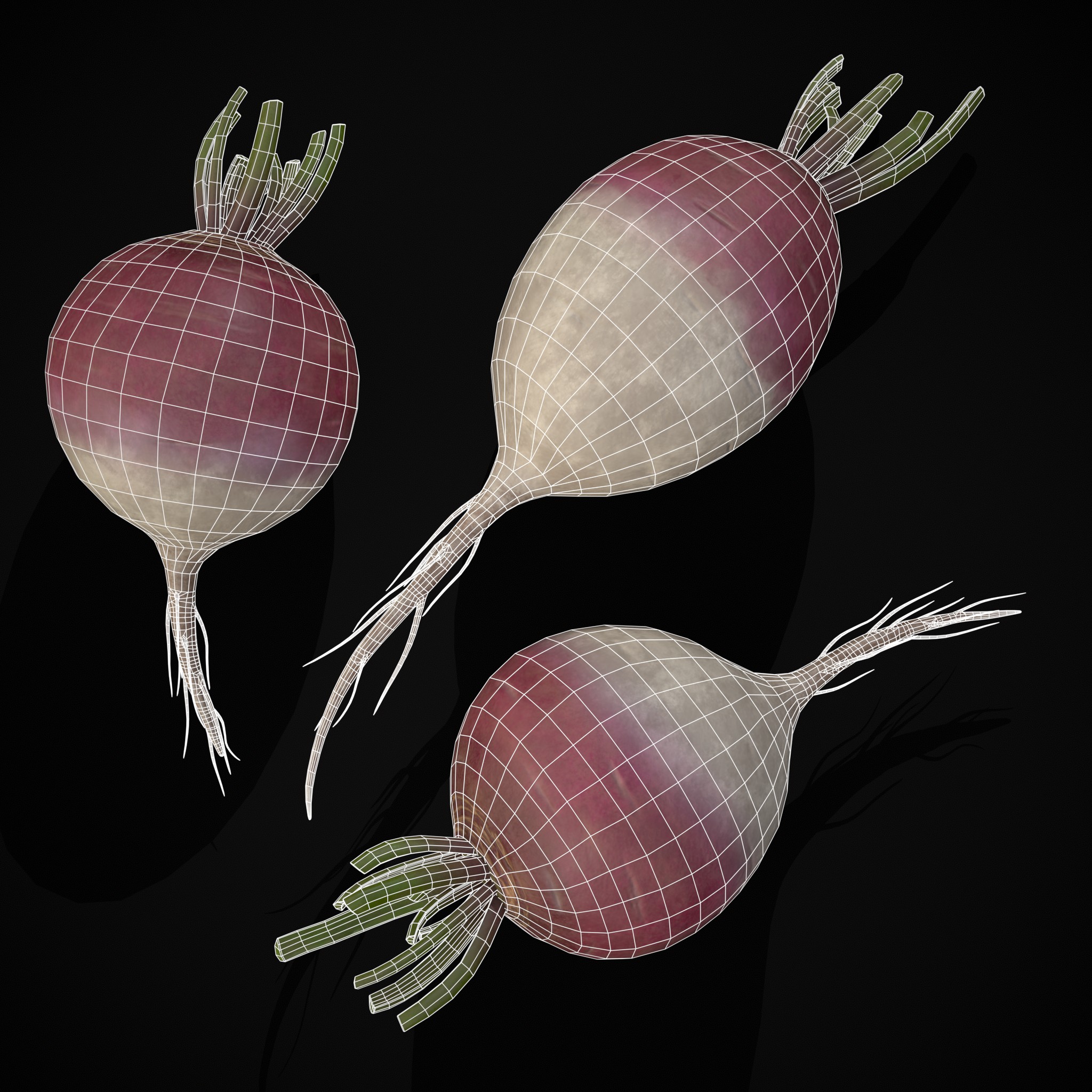 Purple Top White Globe Turnips - 3D Model by Get Dead Entertainment