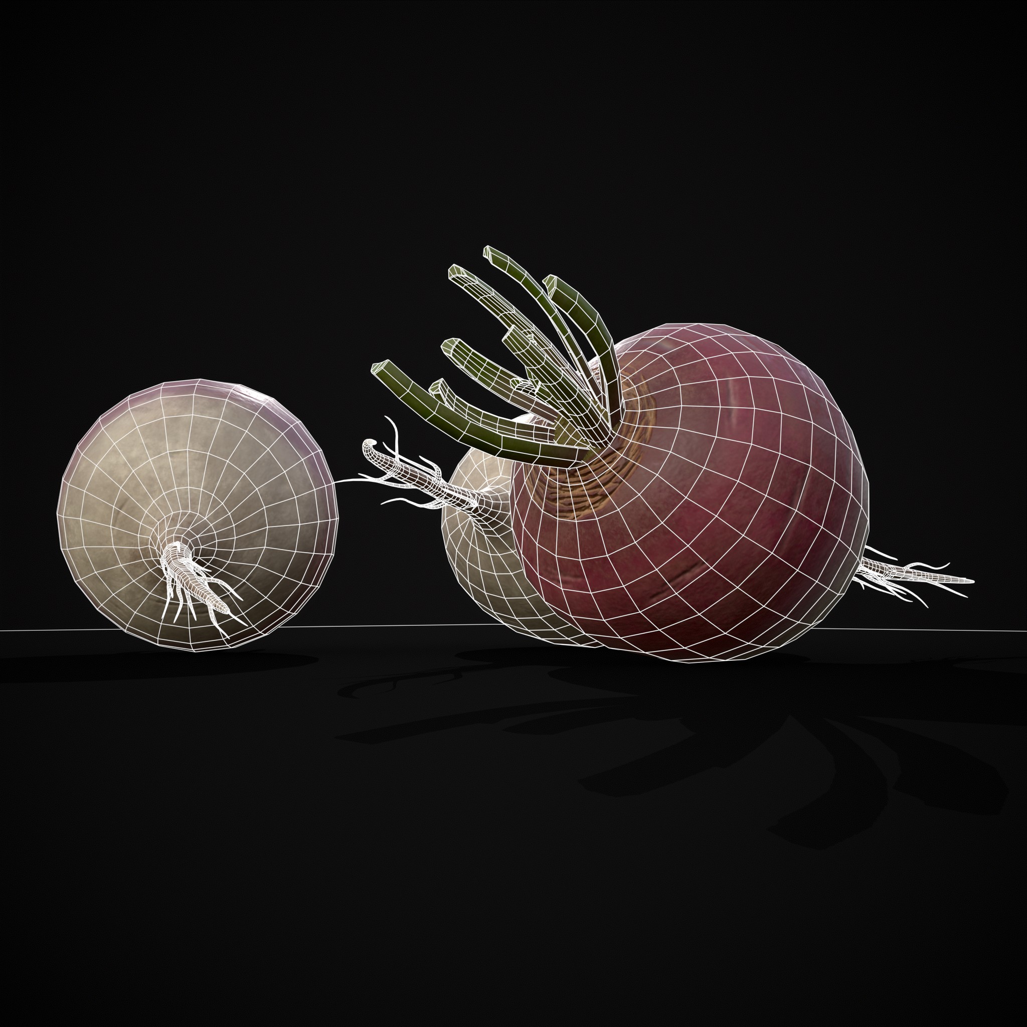 Purple Top White Globe Turnips - 3D Model by Get Dead Entertainment