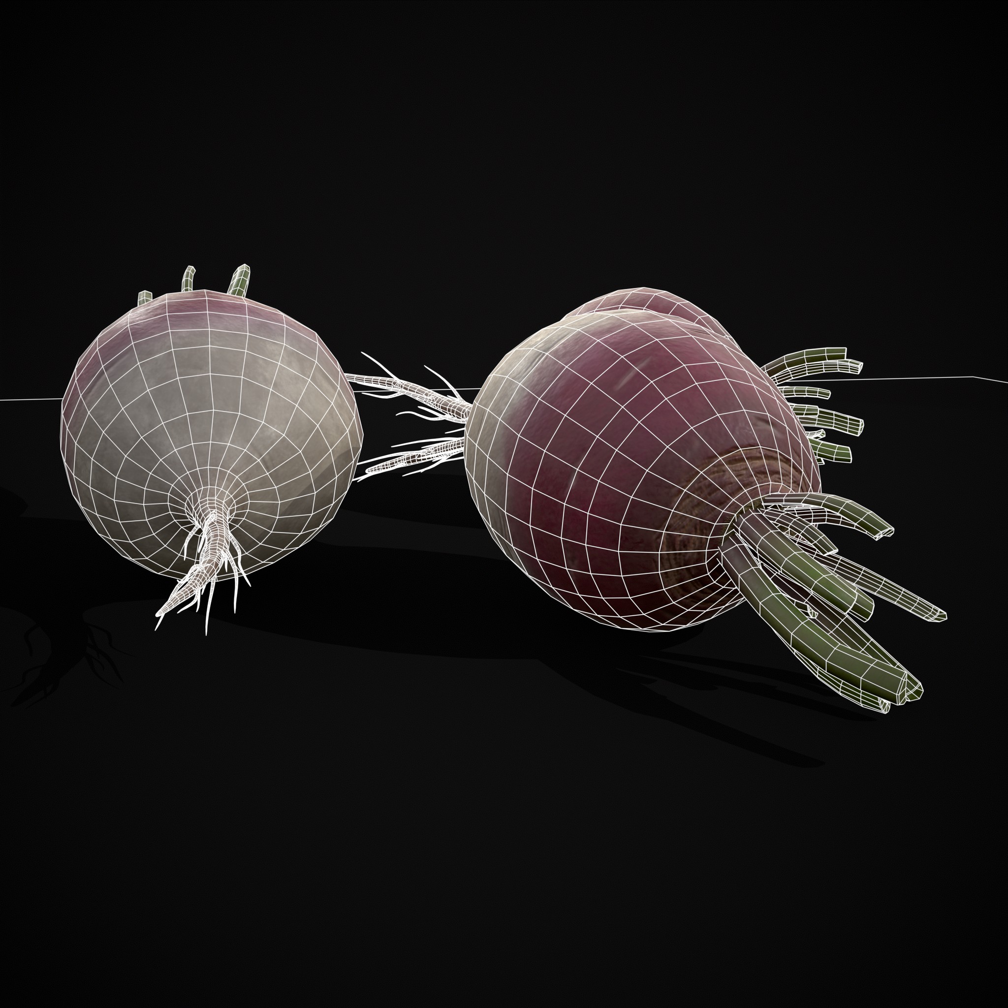 Purple Top White Globe Turnips - 3D Model by Get Dead Entertainment