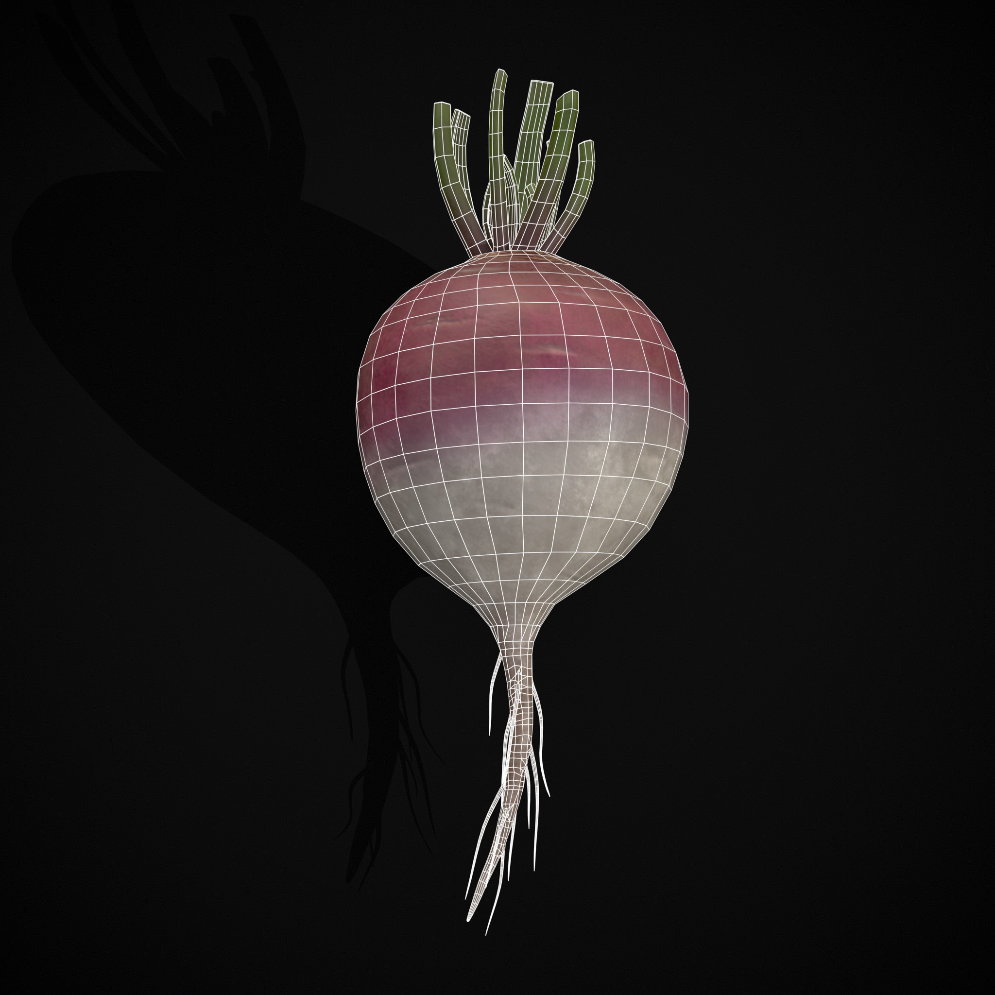 Purple Top White Globe Turnips - 3D Model by Get Dead Entertainment