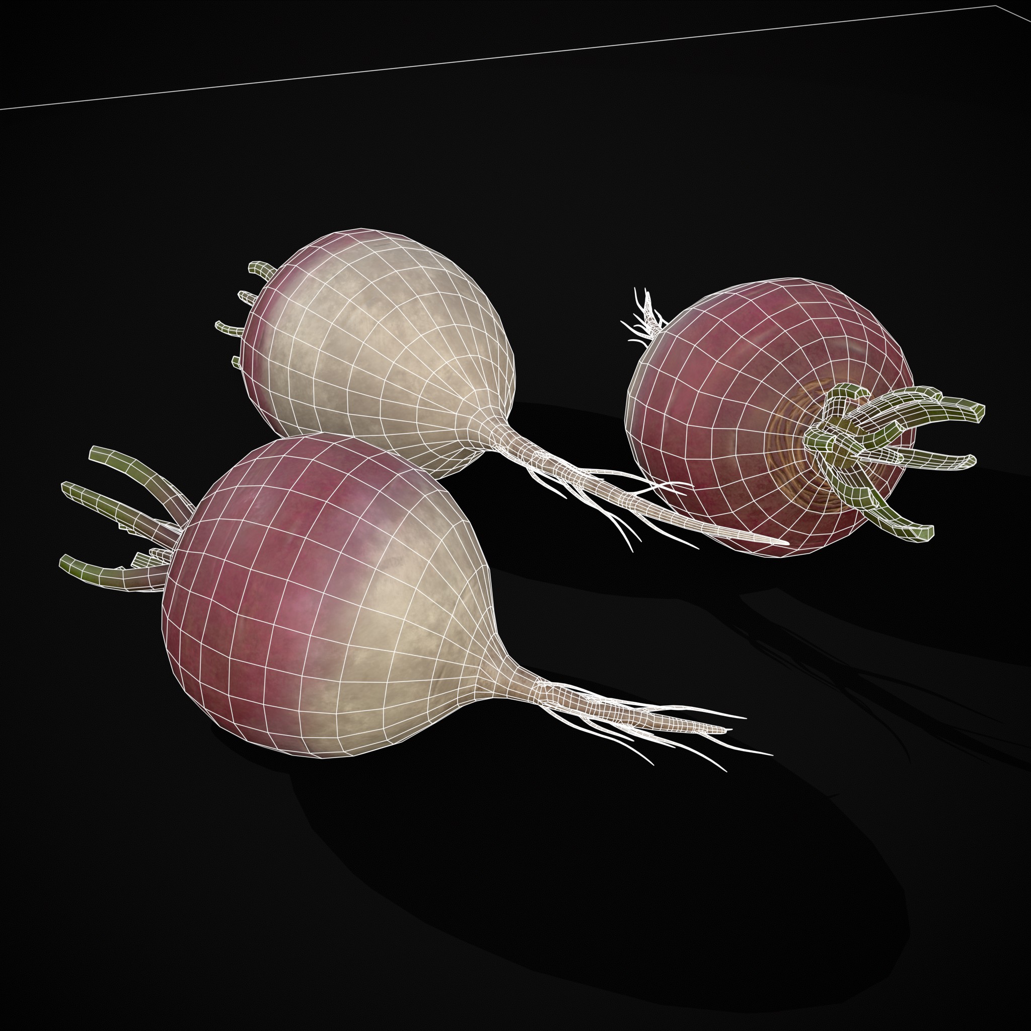 Purple Top White Globe Turnips - 3D Model by Get Dead Entertainment