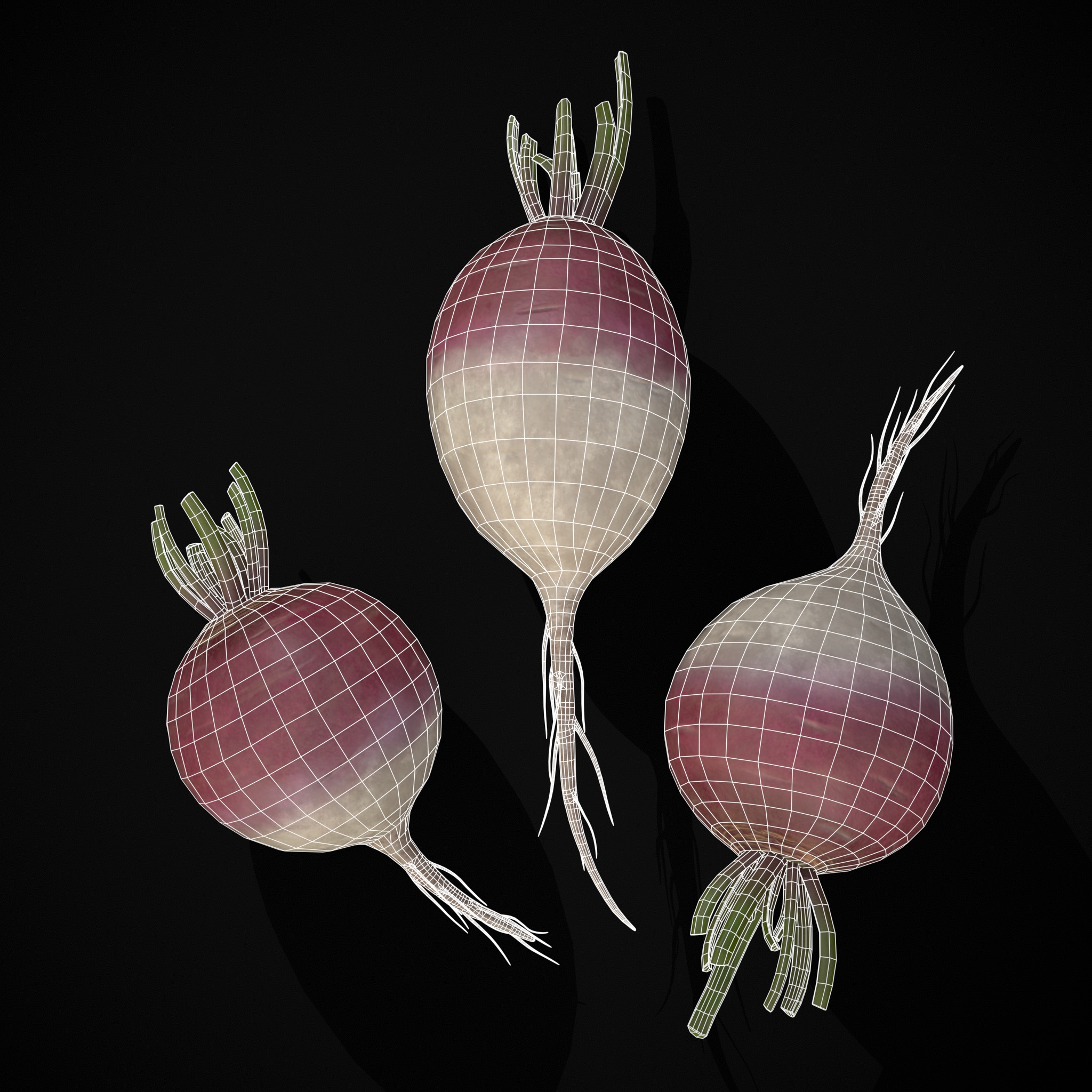 Purple Top White Globe Turnips - 3D Model by Get Dead Entertainment