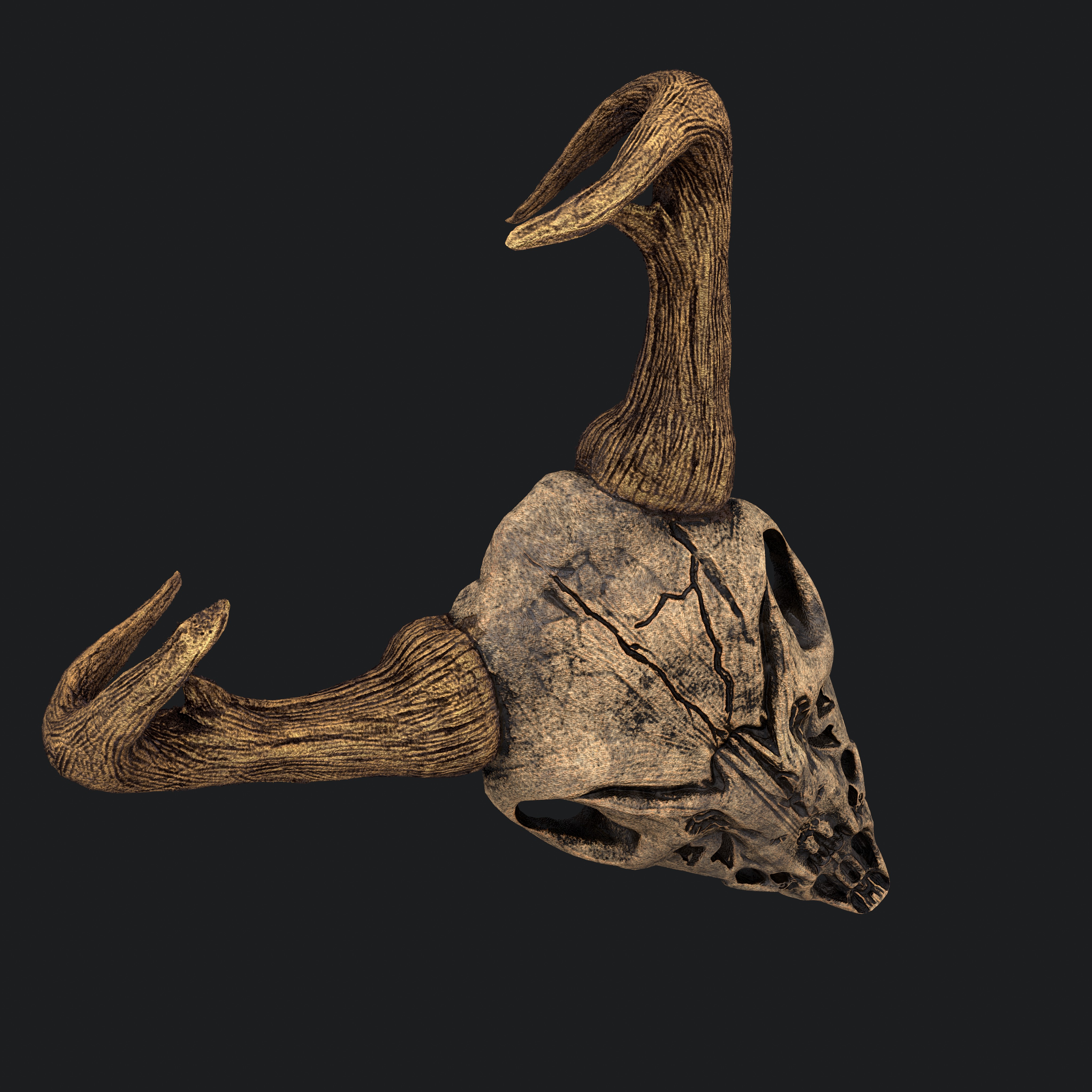 Ram Skull - 3D Model by Get Dead Entertainment