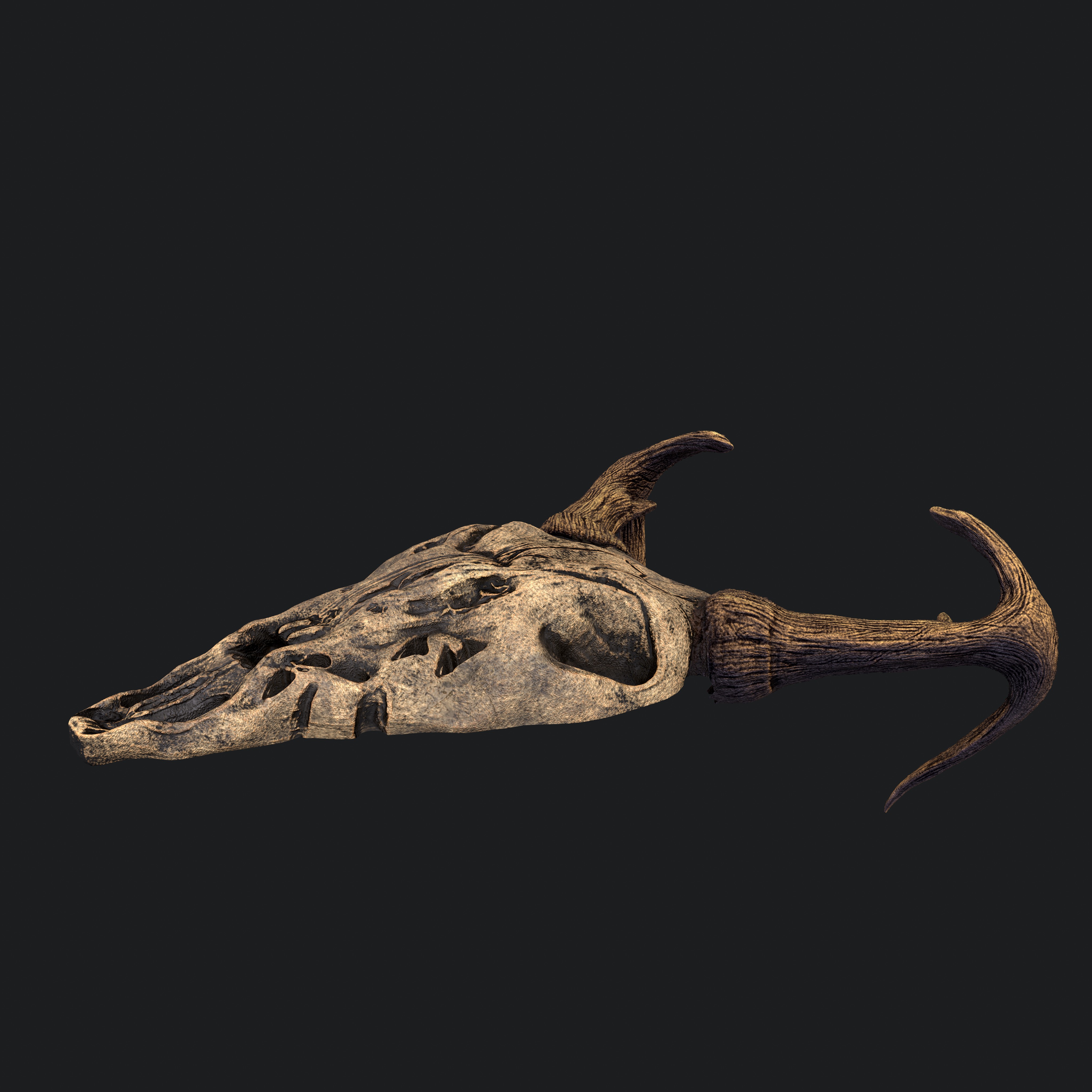 Ram Skull - 3D Model by Get Dead Entertainment