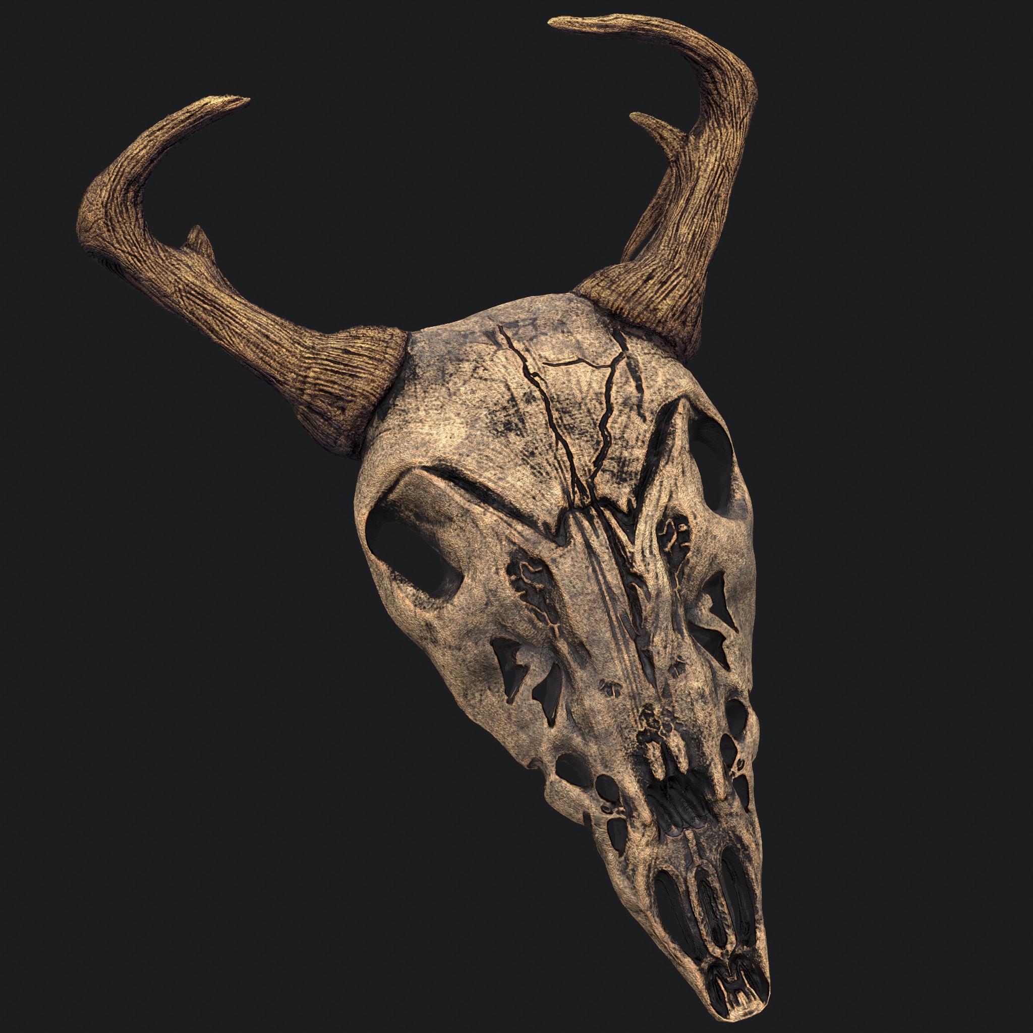 Ram Skull - 3D Model by Get Dead Entertainment