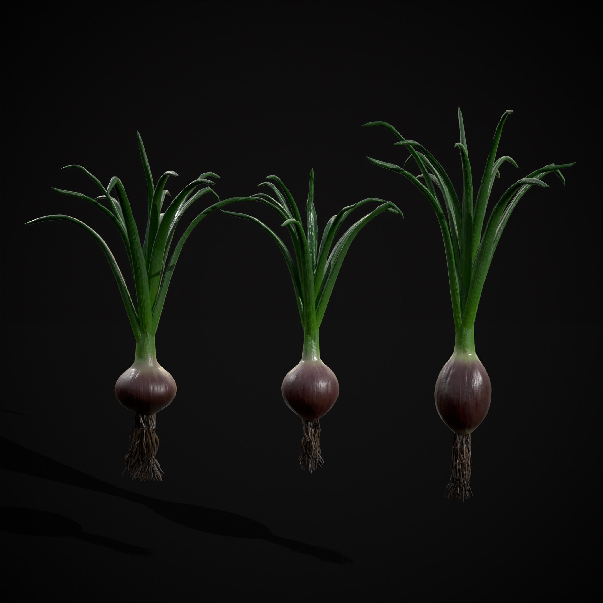 Red Onions Crop - 3D Model by Get Dead Entertainment