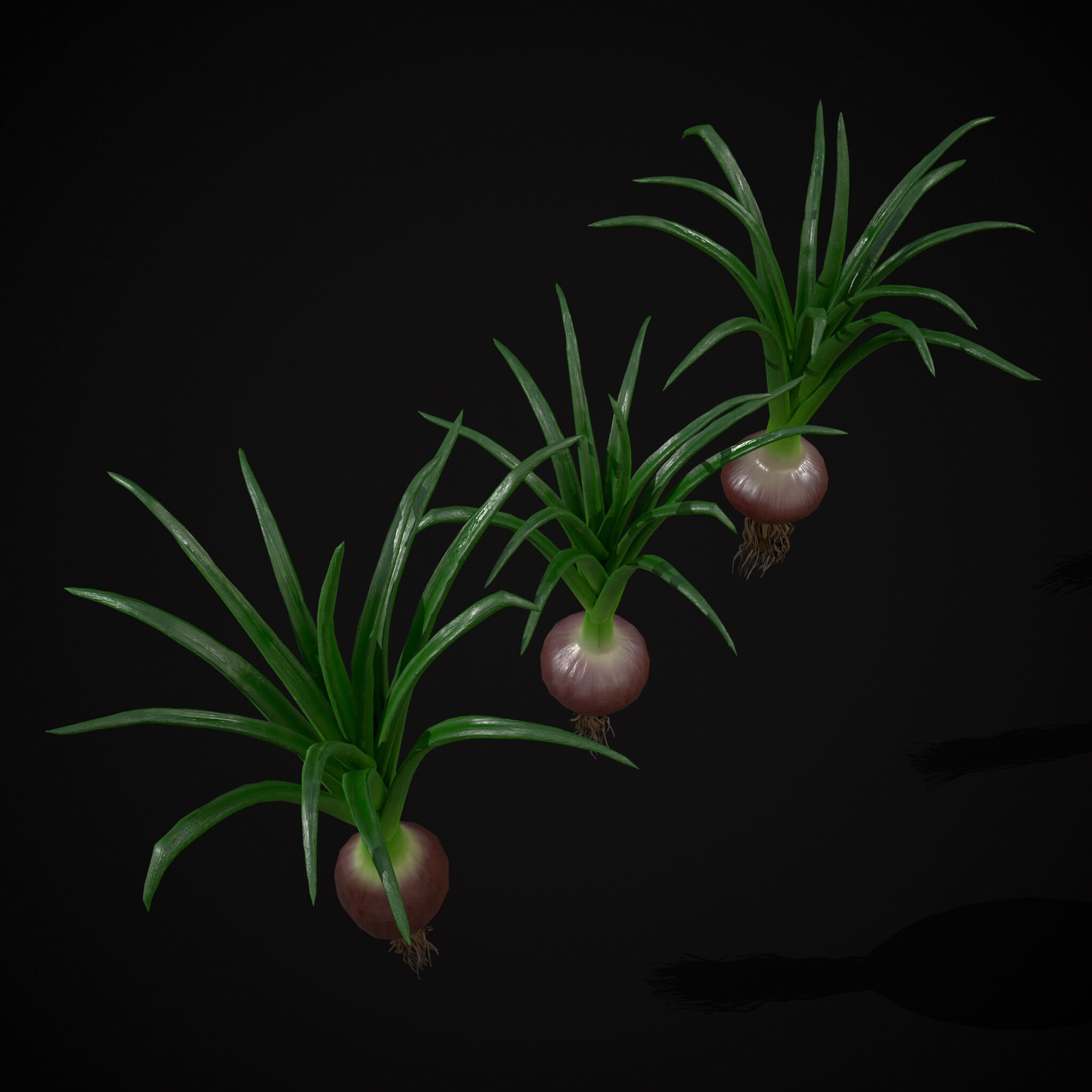 Red Onions Crop - 3D Model by Get Dead Entertainment