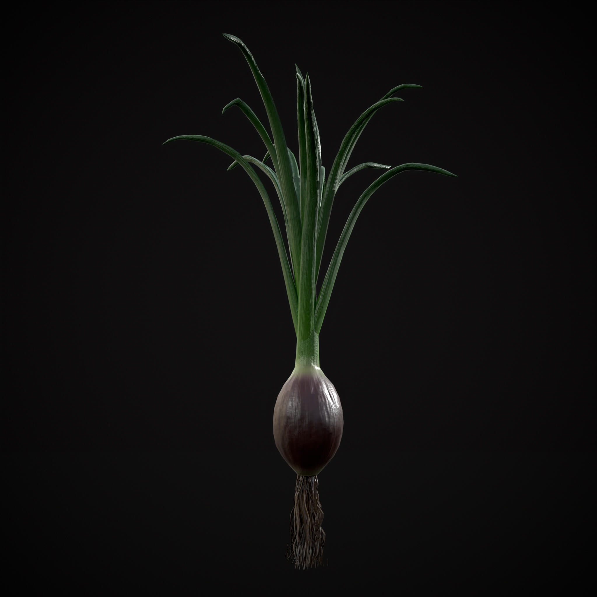 Red Onions Crop - 3D Model by Get Dead Entertainment