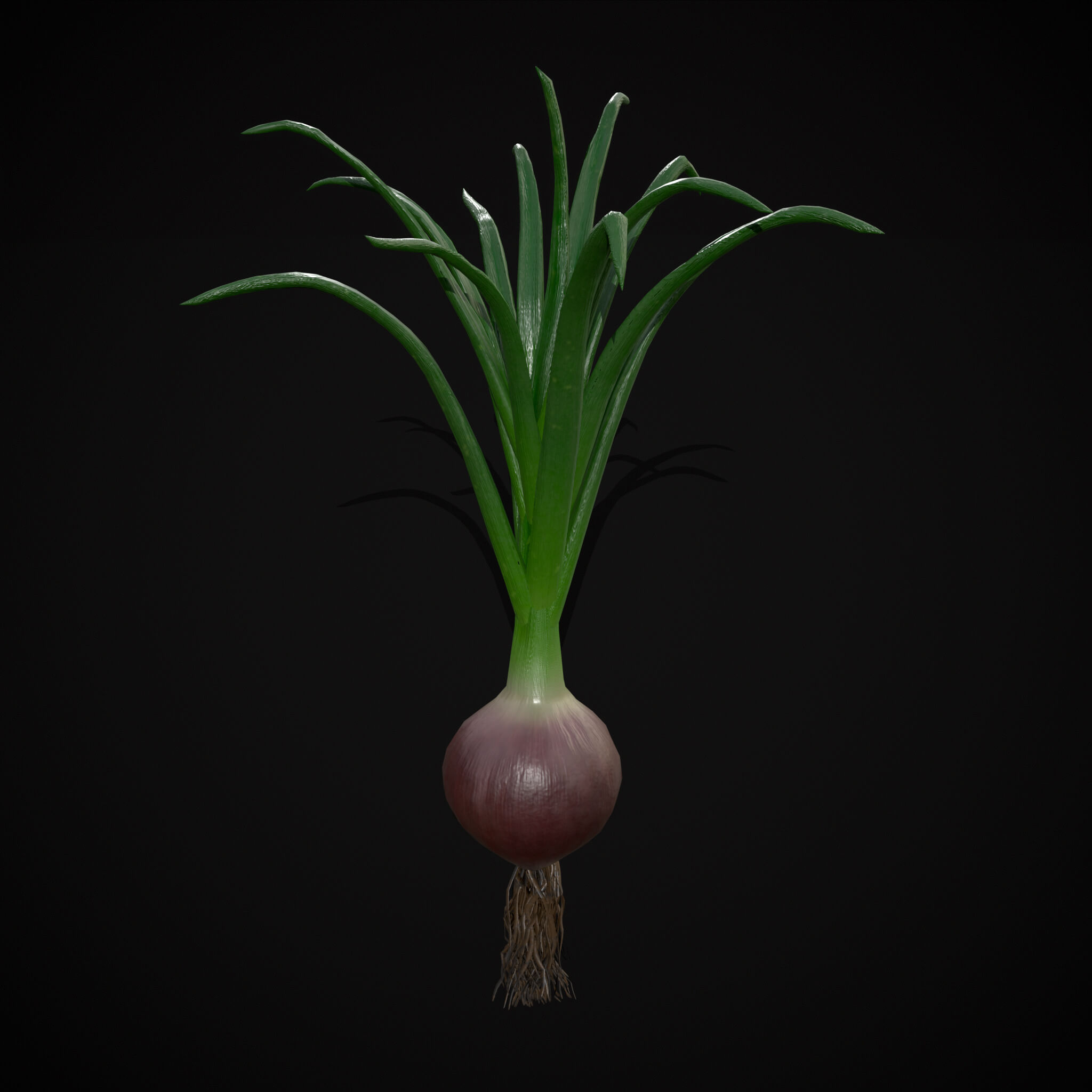 Red Onions Crop - 3D Model by Get Dead Entertainment