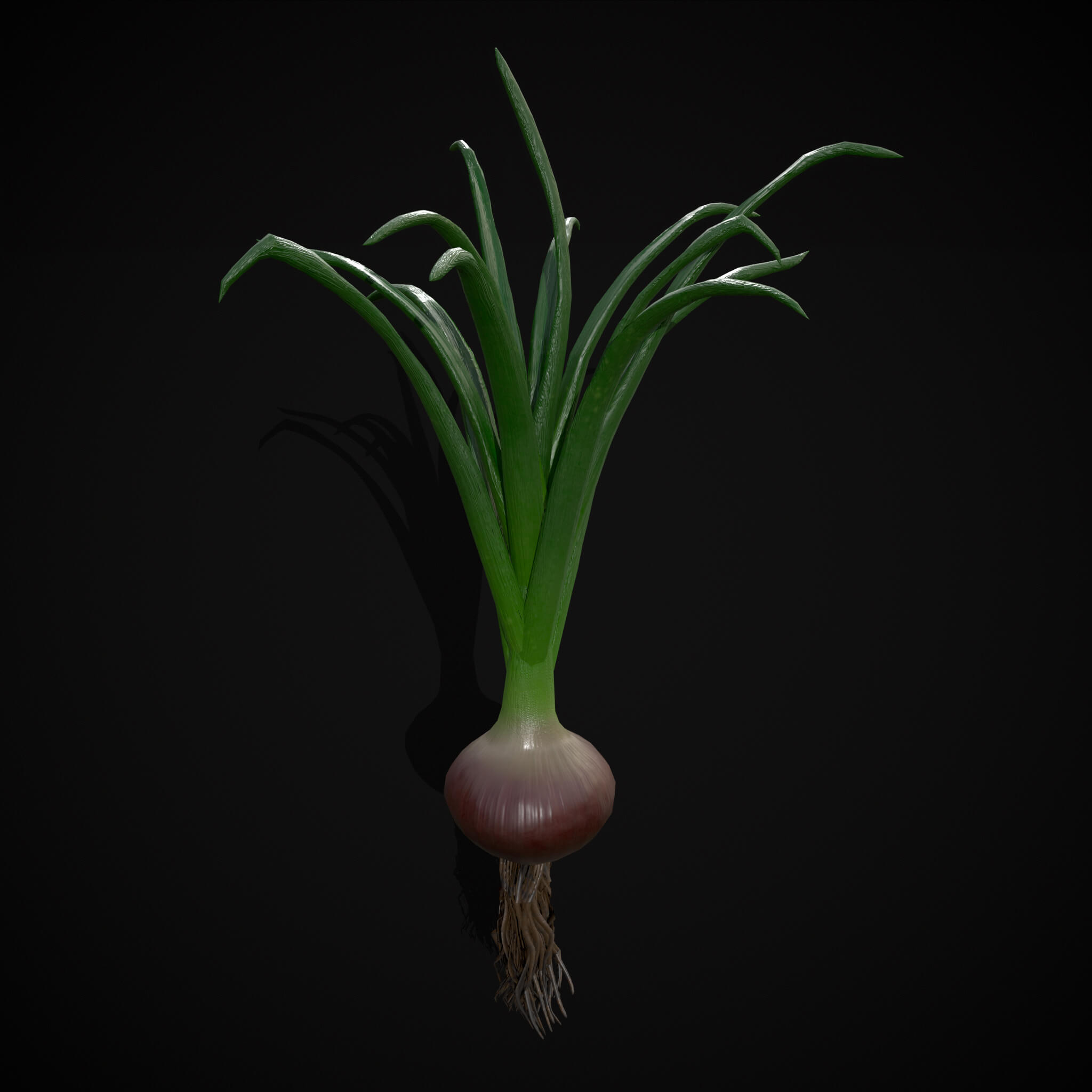Red Onions Crop - 3D Model by Get Dead Entertainment
