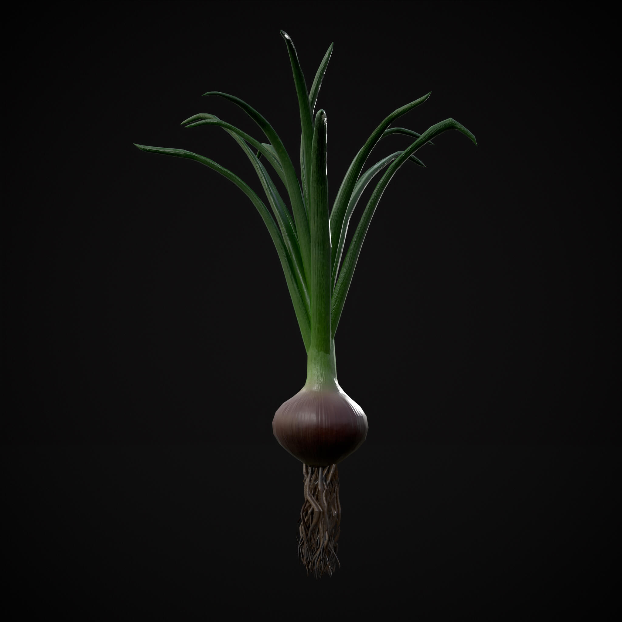Red Onions Crop - 3D Model by Get Dead Entertainment