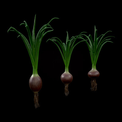 Red Onions Crop - 3D Model by Get Dead Entertainment