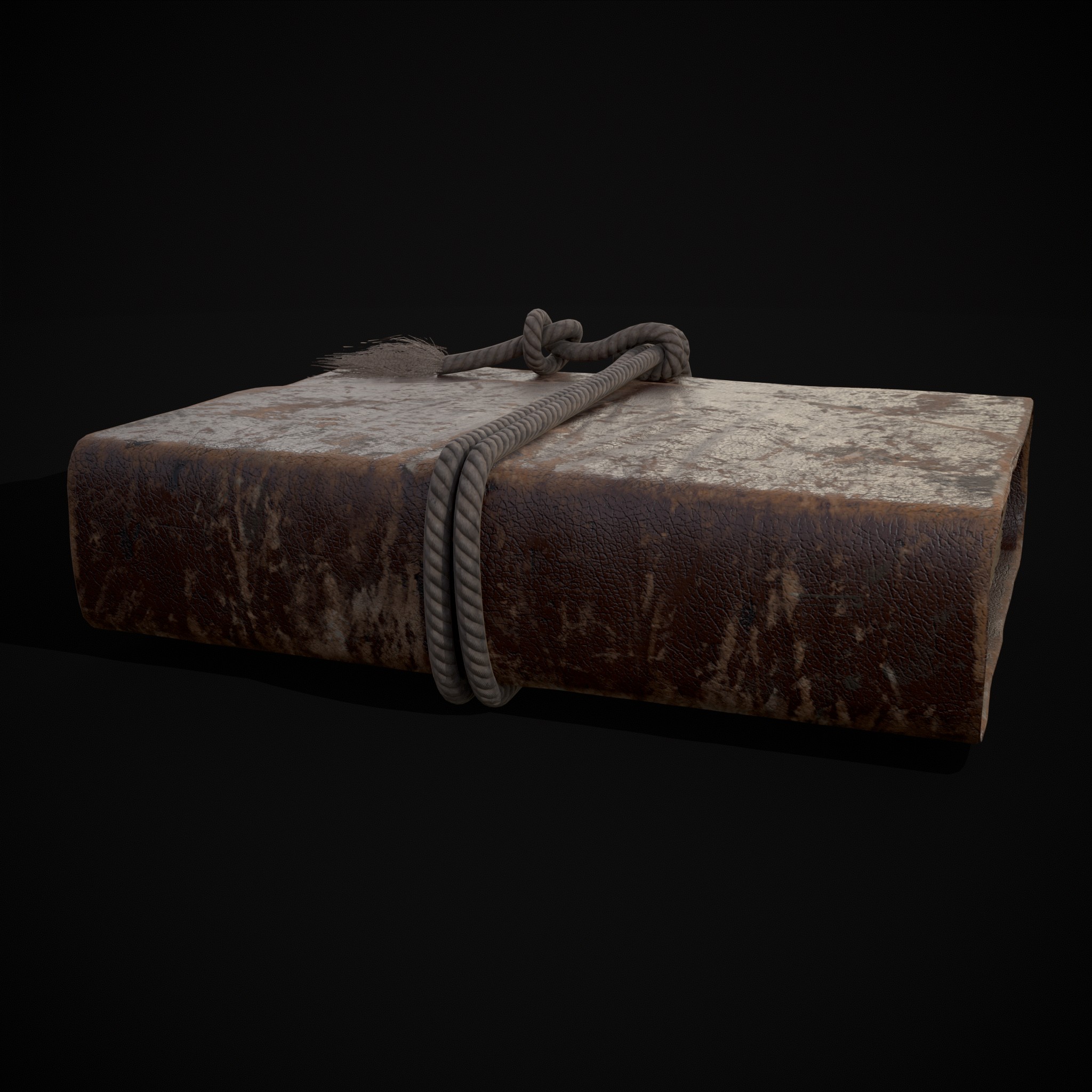 Rope Tied Leather Bound Book - 3D Model by Get Dead Entertainment