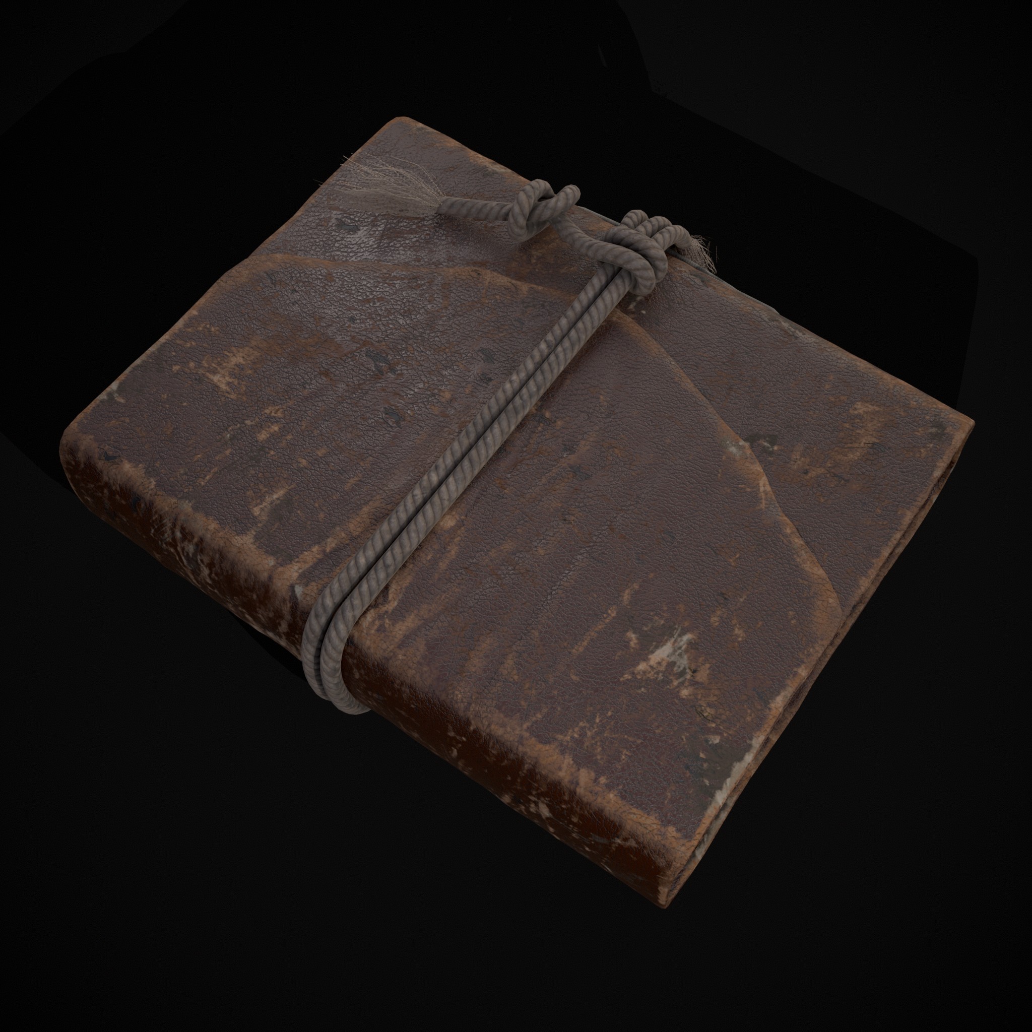Rope Tied Leather Bound Book - 3D Model by Get Dead Entertainment