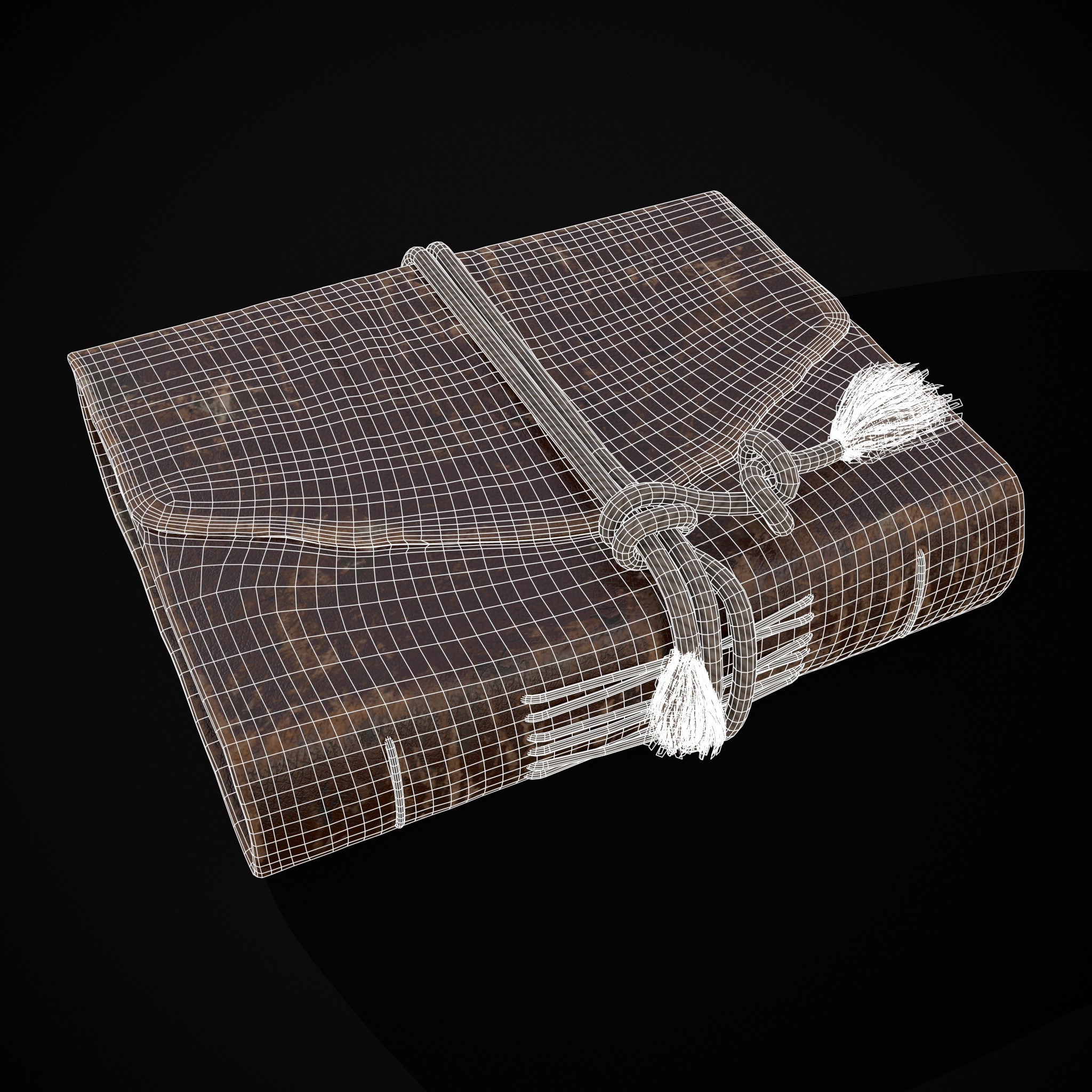 Rope Tied Leather Bound Book - 3D Model by Get Dead Entertainment